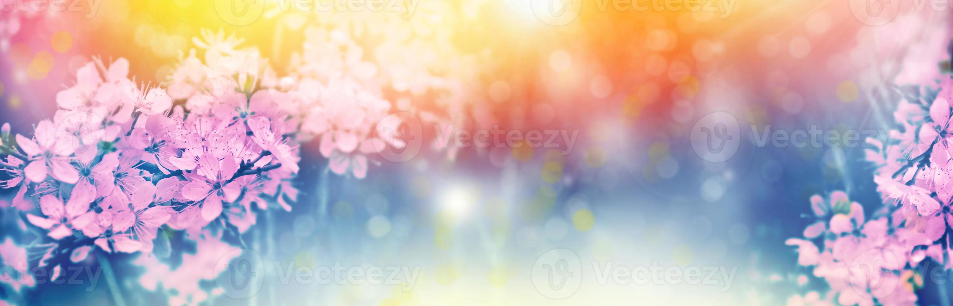 Spring Gradient Stock Photos, Images and Backgrounds for Free Download