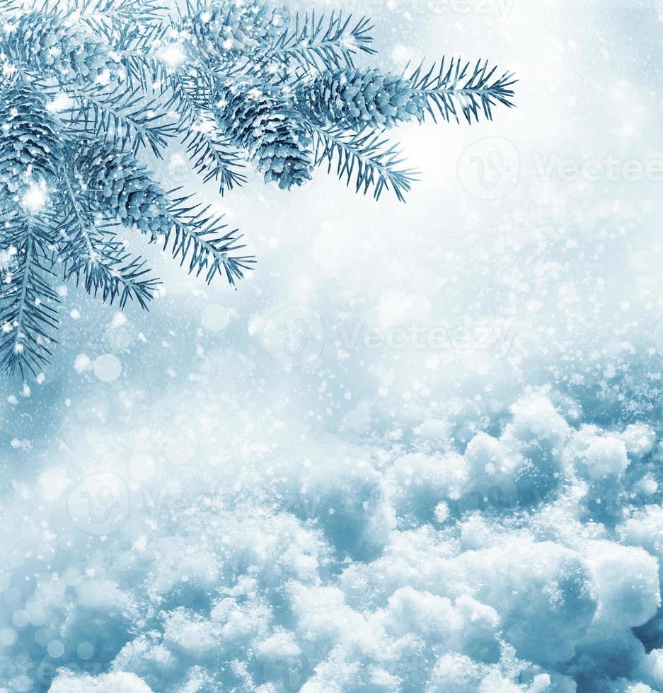 Snow Covered Tree Stock Photos, Images and Backgrounds for Free Download