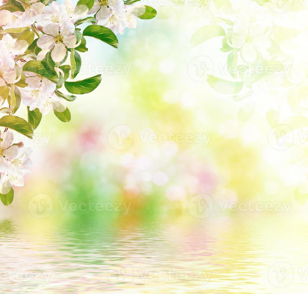 Spring garden. Flowering fruit trees. 10026623 Stock Photo at Vecteezy