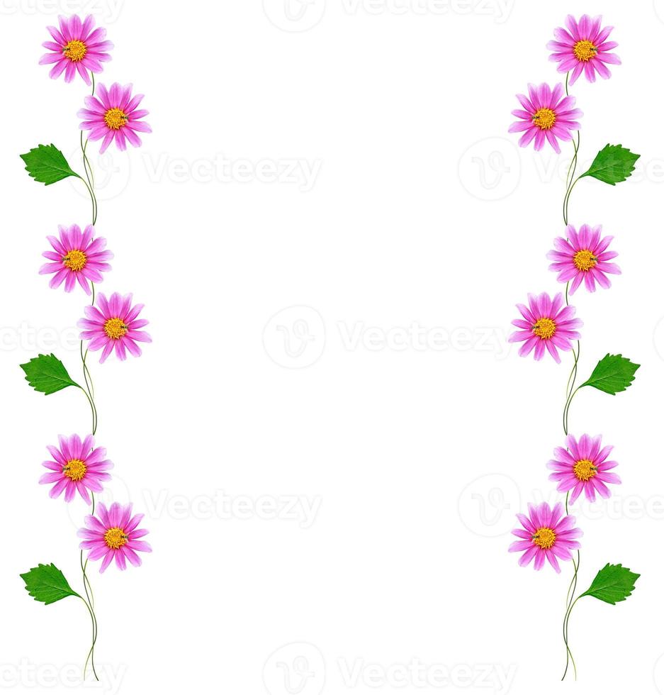 Flower Border Clip Art Stock Photos, Images and Backgrounds for Free ...