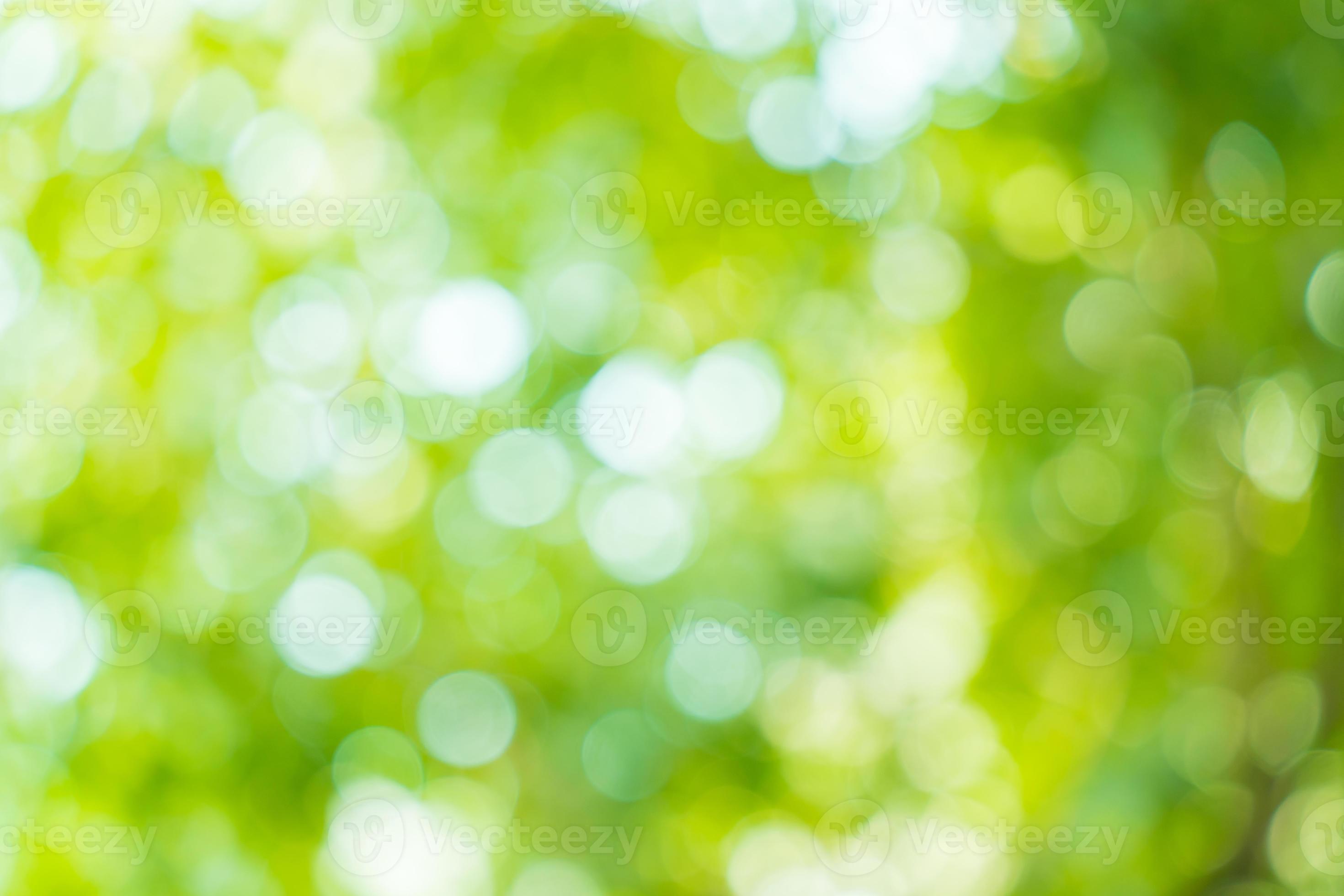 Sunny abstract green nature background. Abstract blur green color for ... Sunny abstract green nature background. Abstract blur green color for ...