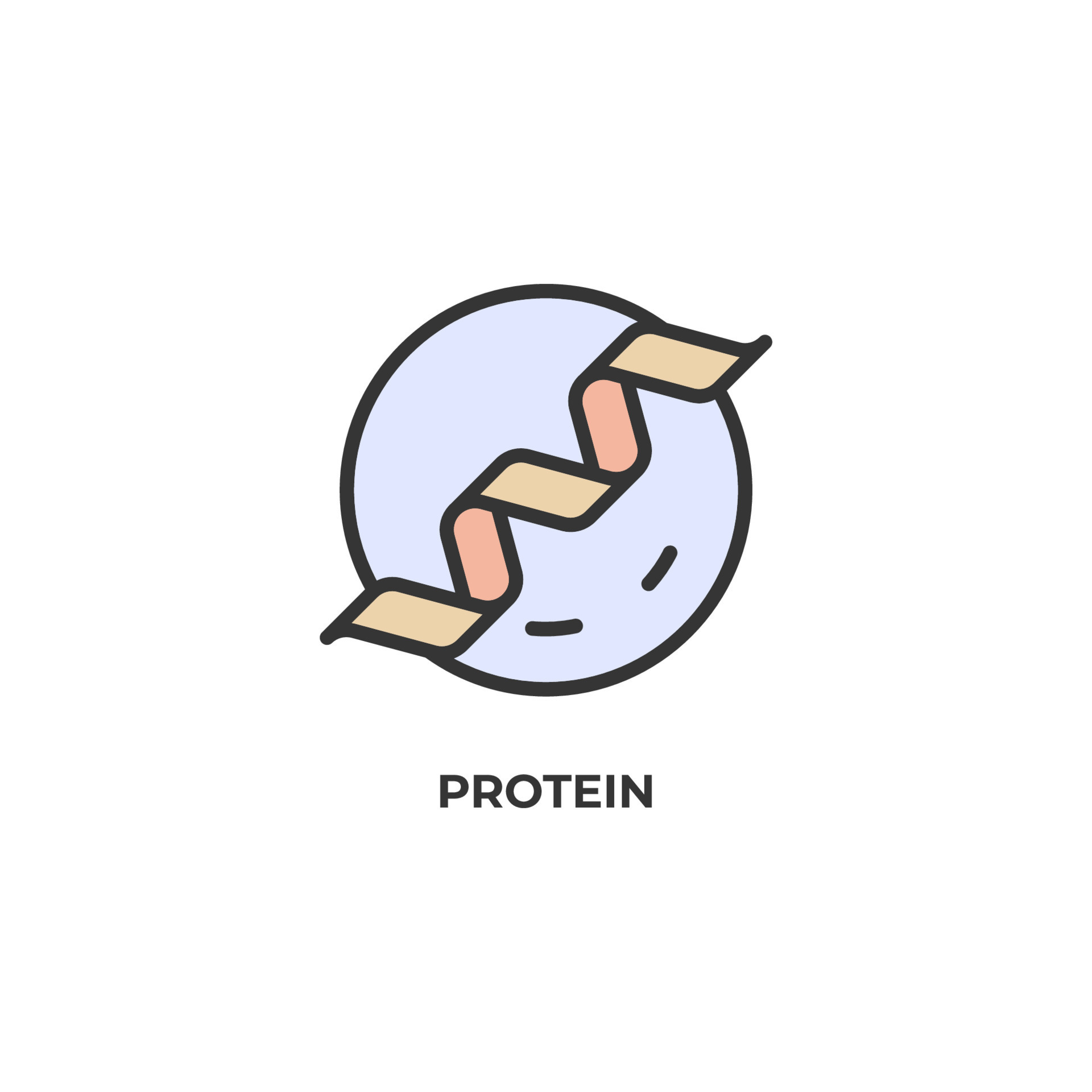 Protein Vector Icon Colorful Flat Design Vector Illustration Vector