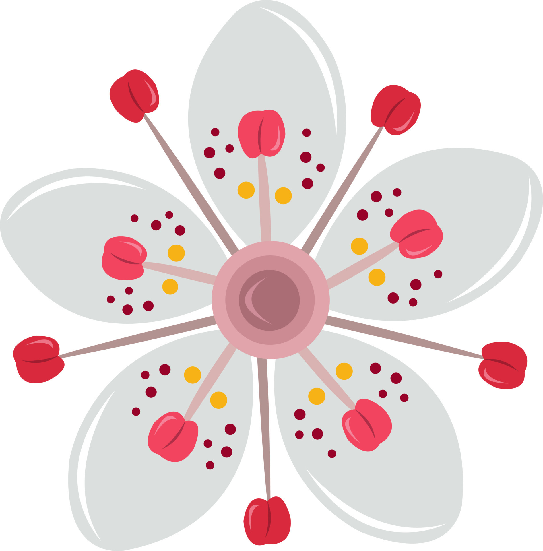 London Pride Flower Vector Illustration For Graphic Design And Decorative Element 10076810