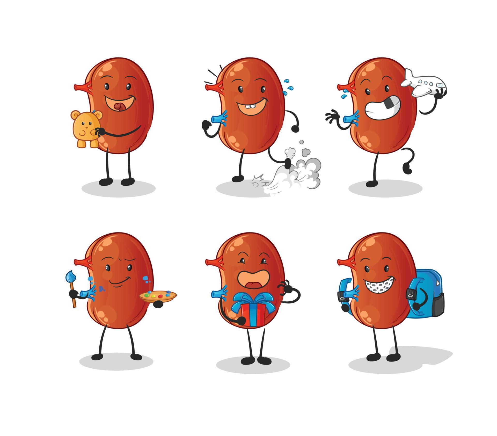 human kidney vector 10104607 Vector Art at Vecteezy