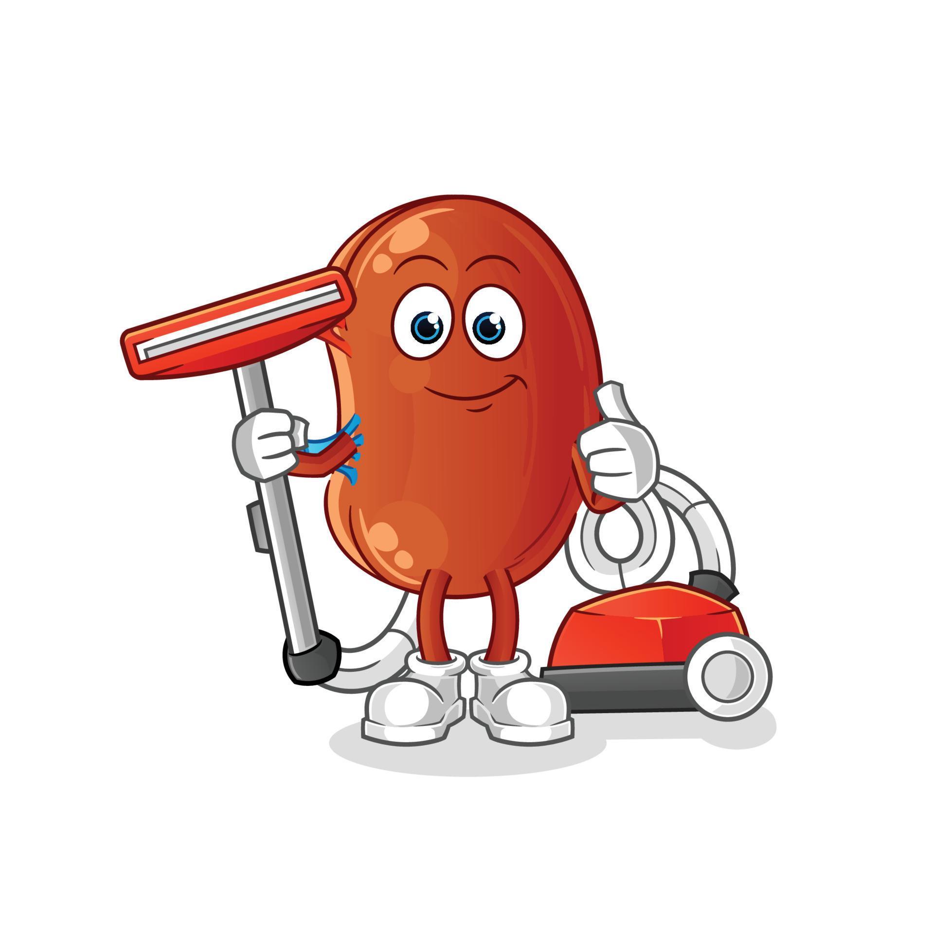 human kidney vector 10104708 Vector Art at Vecteezy