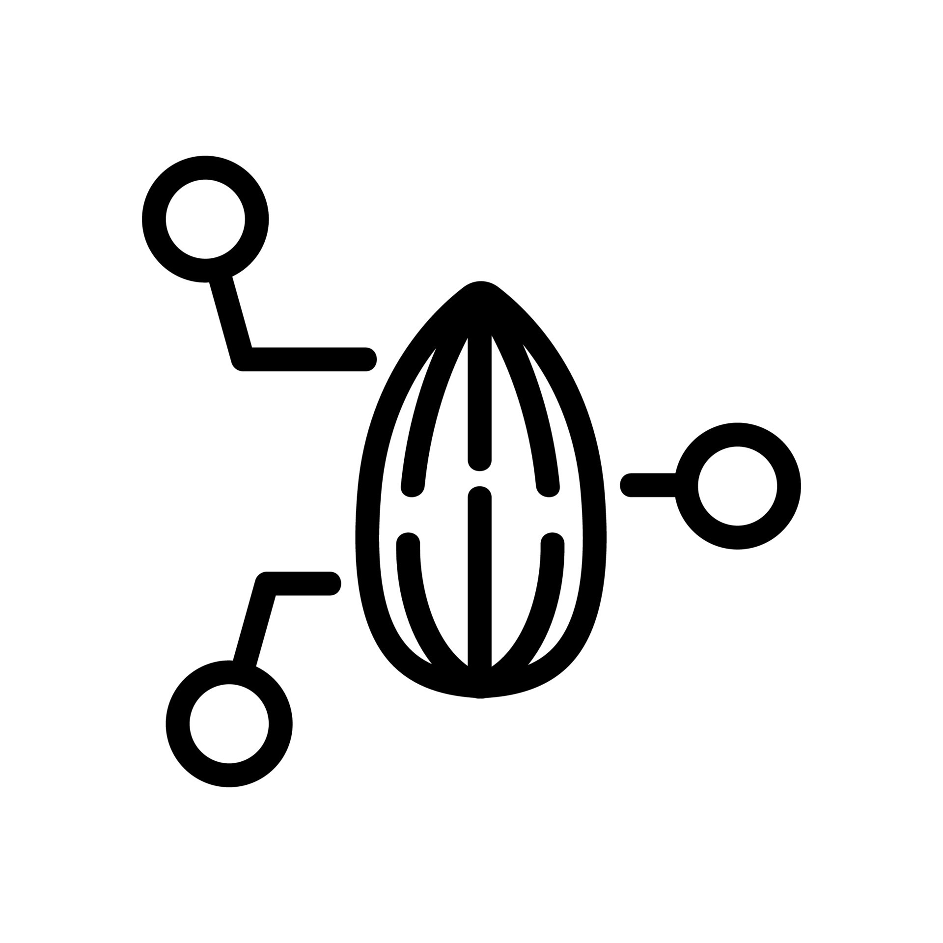 almond structure icon vector outline illustration 10145781 Vector Art ... almond structure icon vector outline illustration 10145781 Vector Art ...