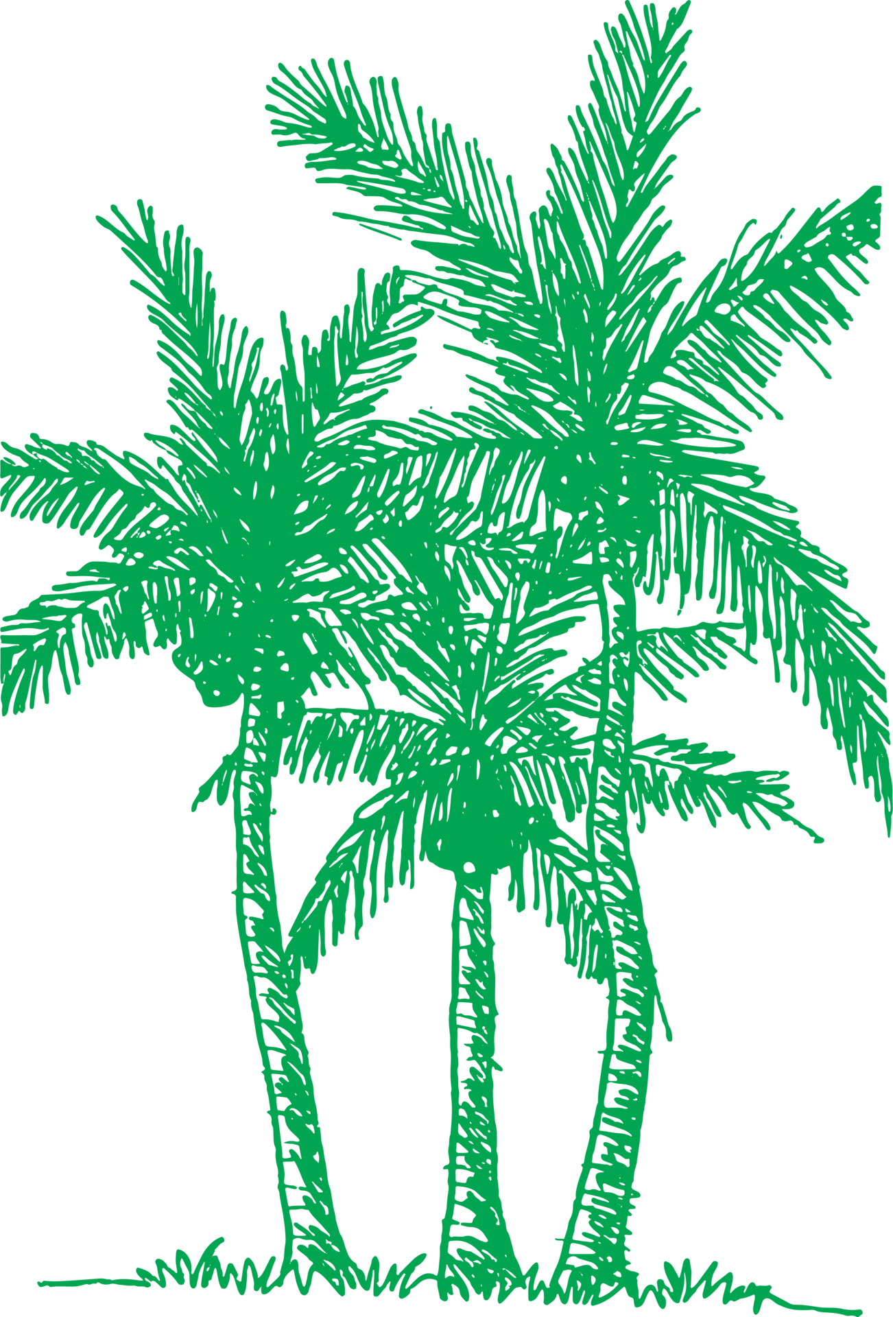 rboles Con Dise o De Letrero De Icono De Hojas 10154524 PNG rboles-con-dise-o-de-letrero-de-icono-de-hojas-10154524-png