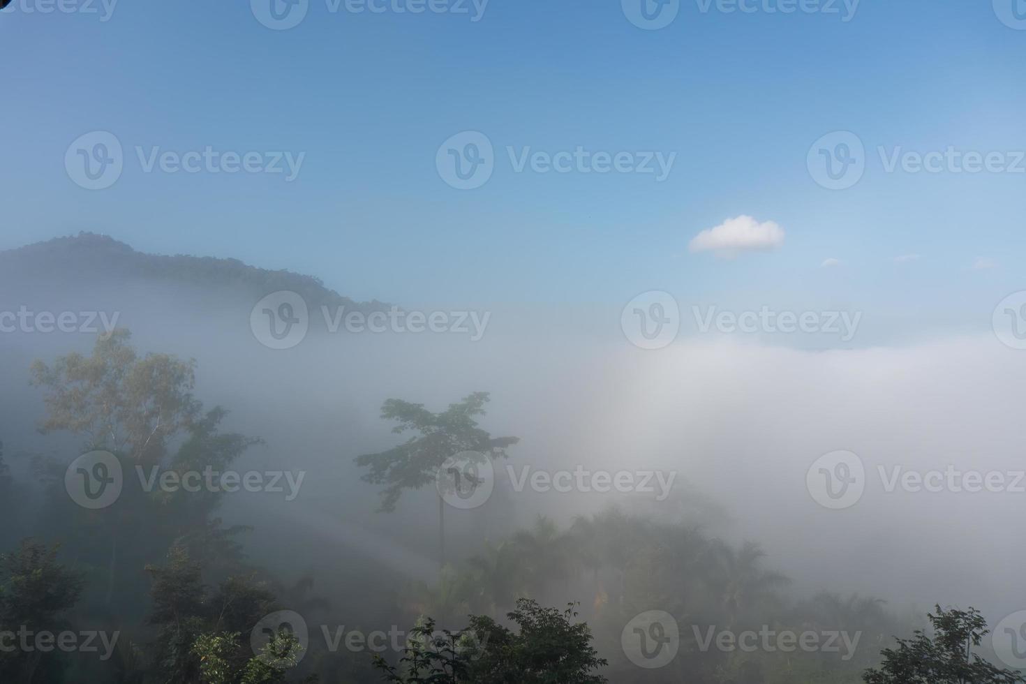 fenomenos naturales. El arco de niebla o arco iris blanco se produce por encima de la niebla ...