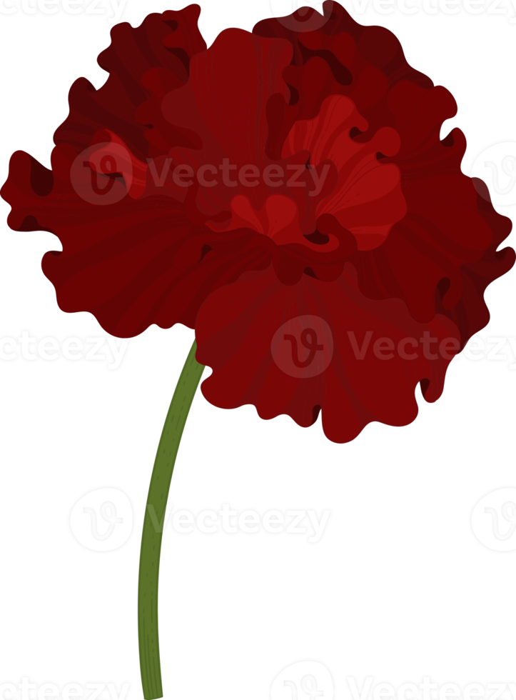 Red Hibiscus Flower Hand Drawn Illustration 10170678 Png
