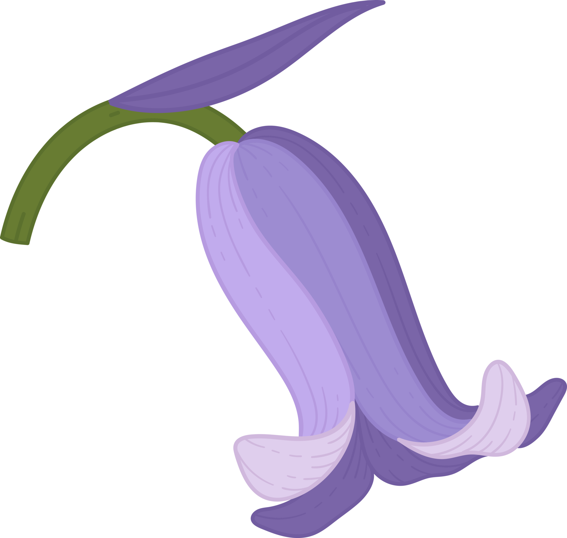 Bluebell Flower Hand Drawn Illustration 10172485 Png