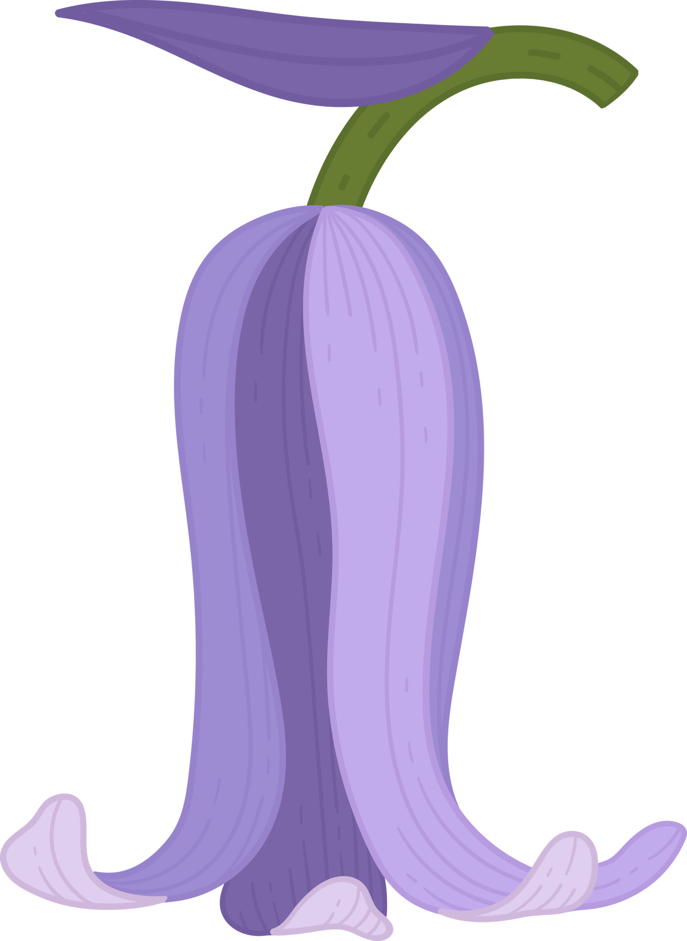 Bluebell Flower Hand Drawn Illustration 10172923 Png