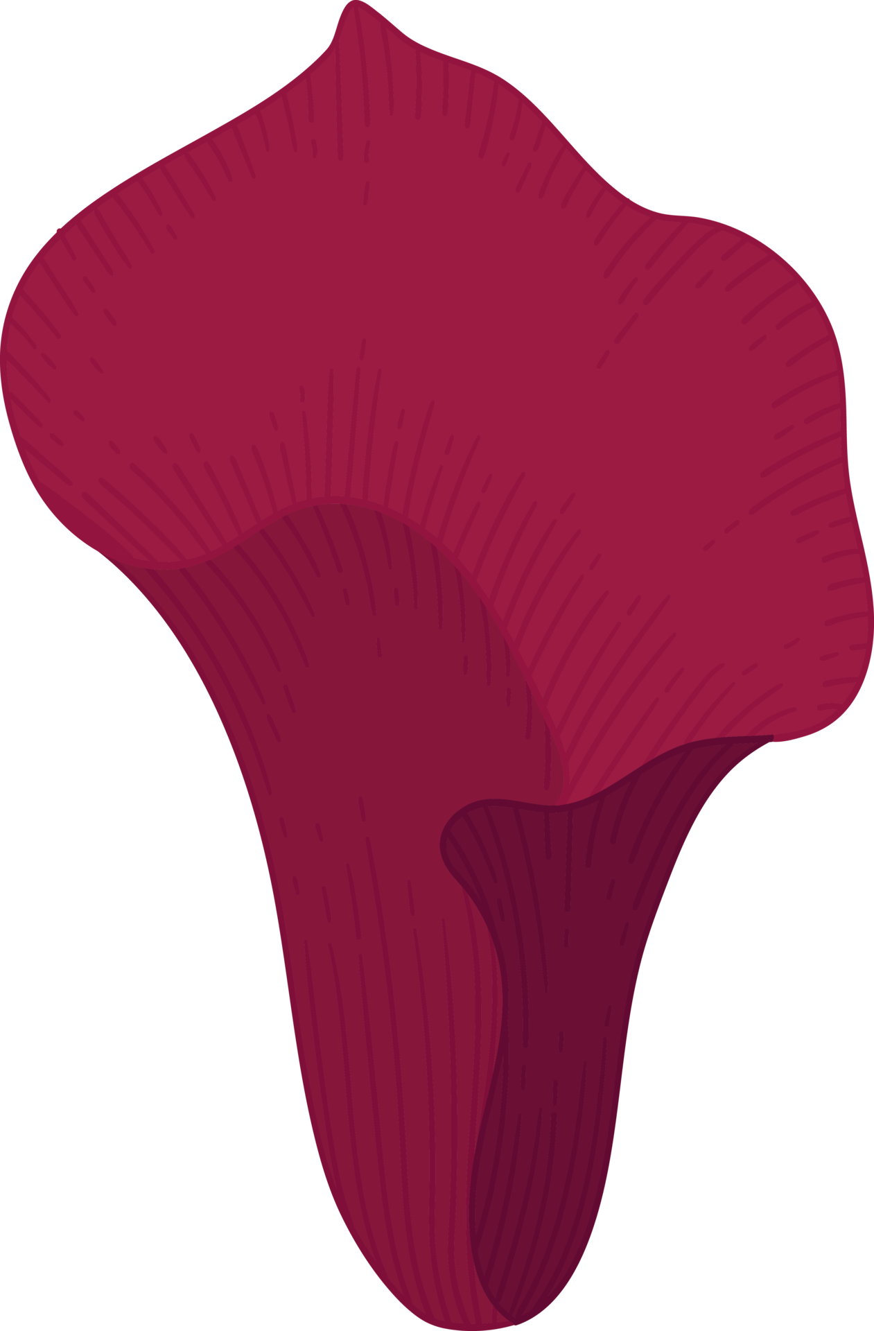 Red Calla Lily Flower Hand Drawn Illustration 10172964 PNG red-calla-lily-flower-hand-drawn-illustration-10172964-png
