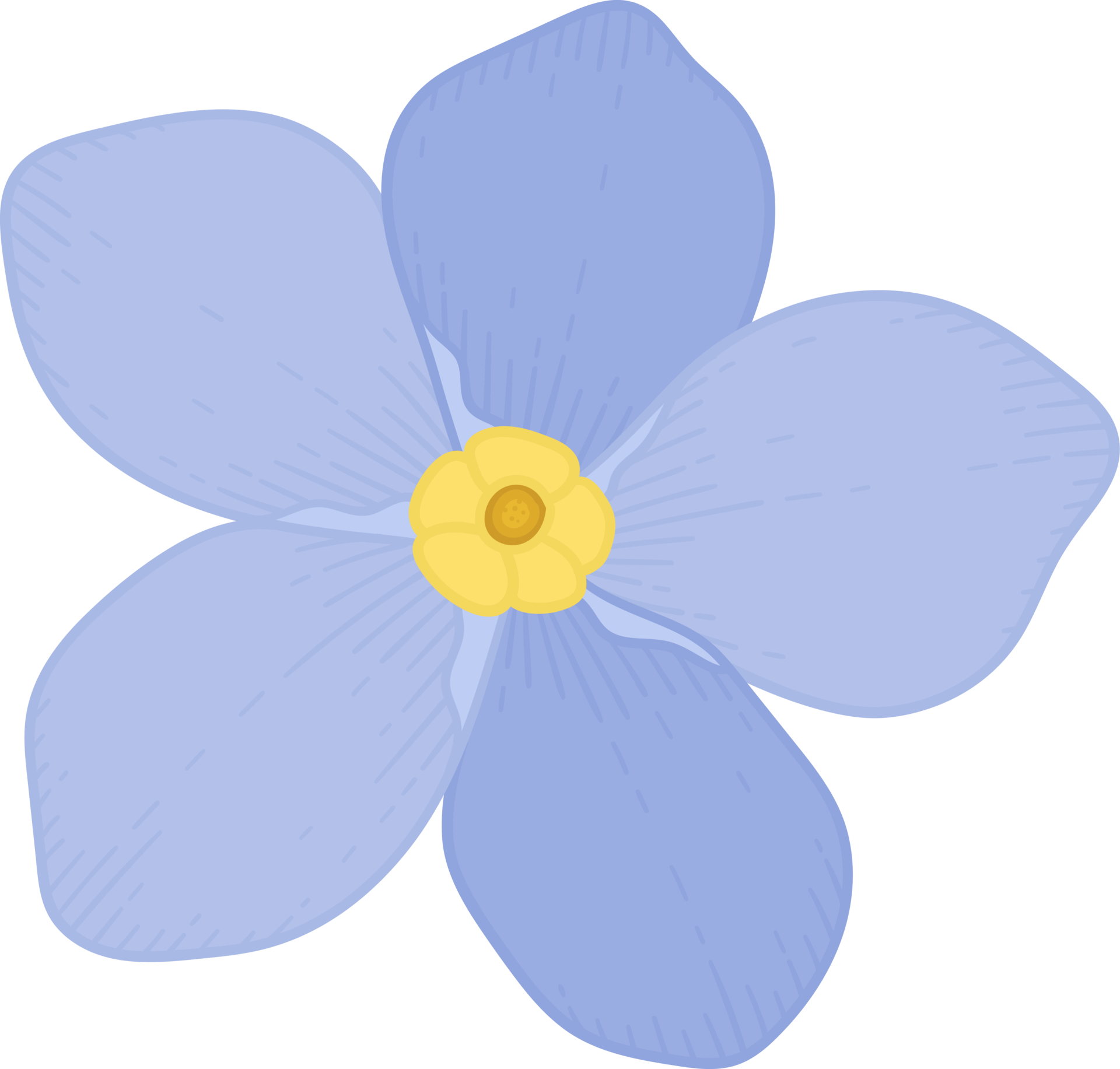 Blue forget me not flower hand drawn illustration. 10173377 PNG Blue forget me not flower hand drawn illustration. 10173377 PNG