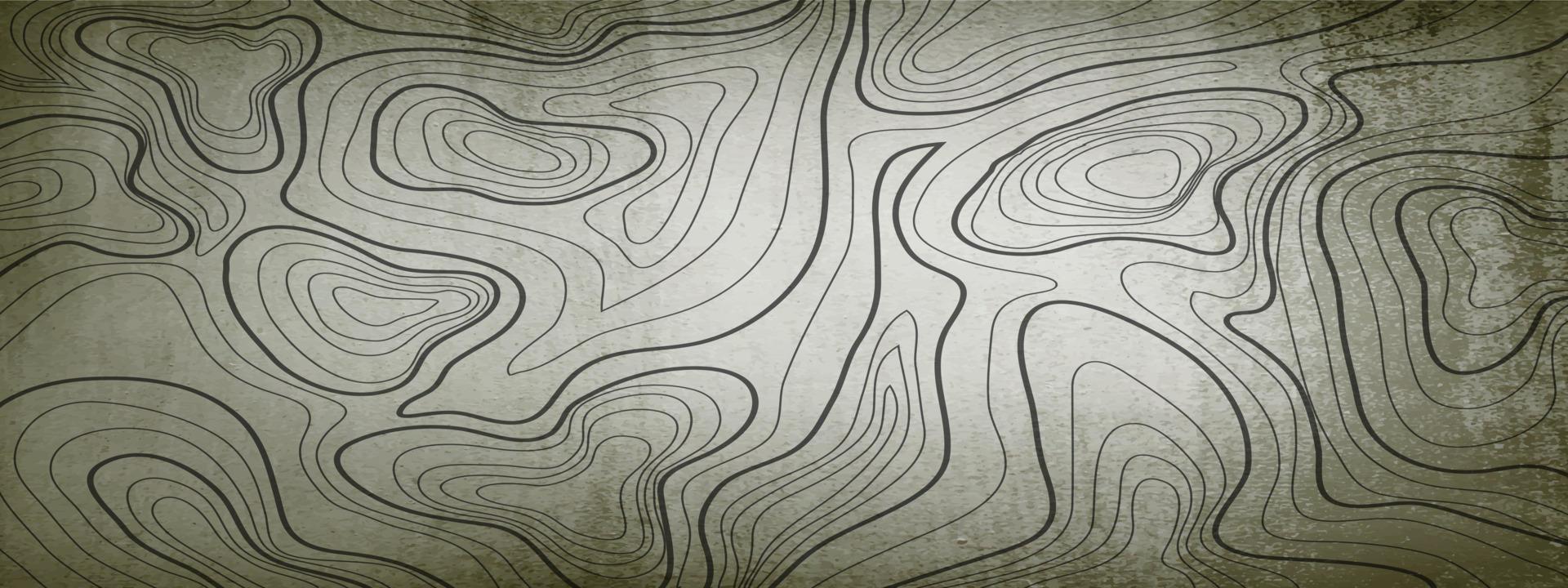 Topographic Line Contour Map Background Geographic Grid Map 10199019