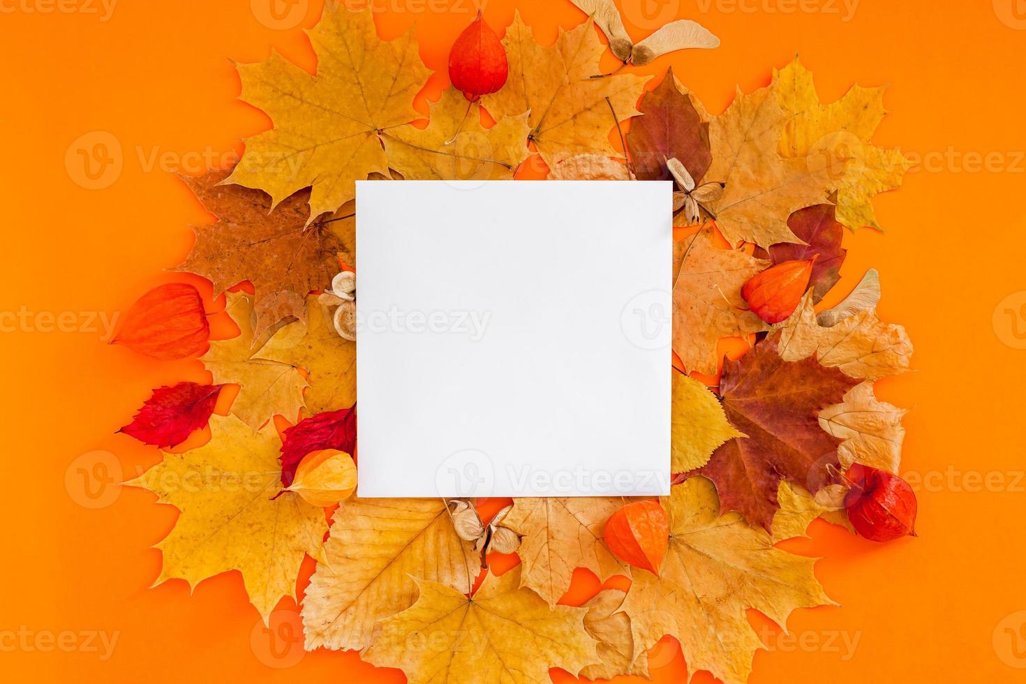Autumn postcard mockup with fall leaves 10209168 Stock Photo at Vecteezy Autumn postcard mockup with fall leaves 10209168 Stock Photo at Vecteezy