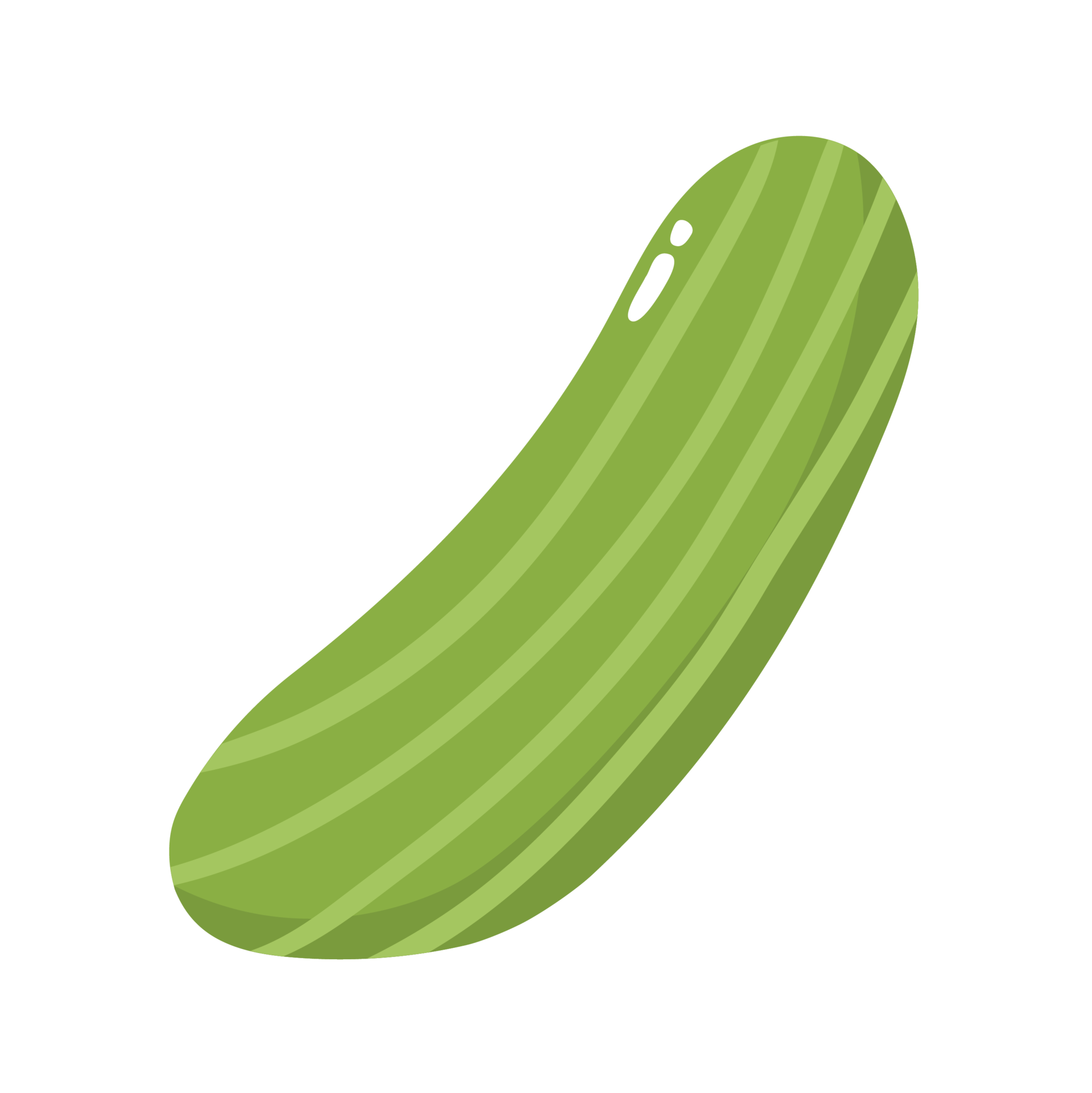 Cucumber Vegetable 2D Illustration 10225642 PNG