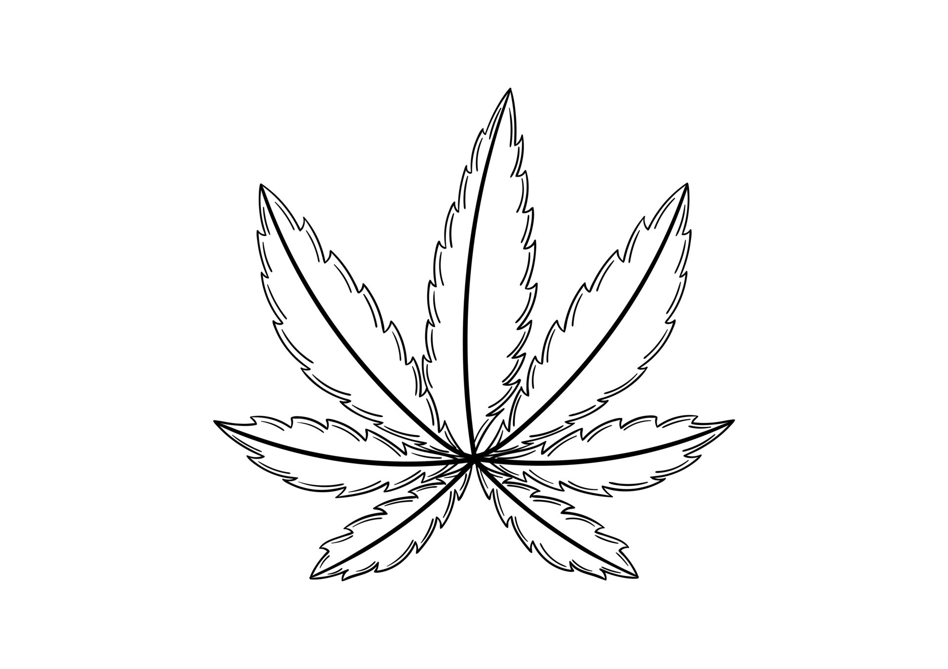 hand drawn illustration of leaves 10251690 Vector Art at Vecteezy hand drawn illustration of leaves 10251690 Vector Art at Vecteezy