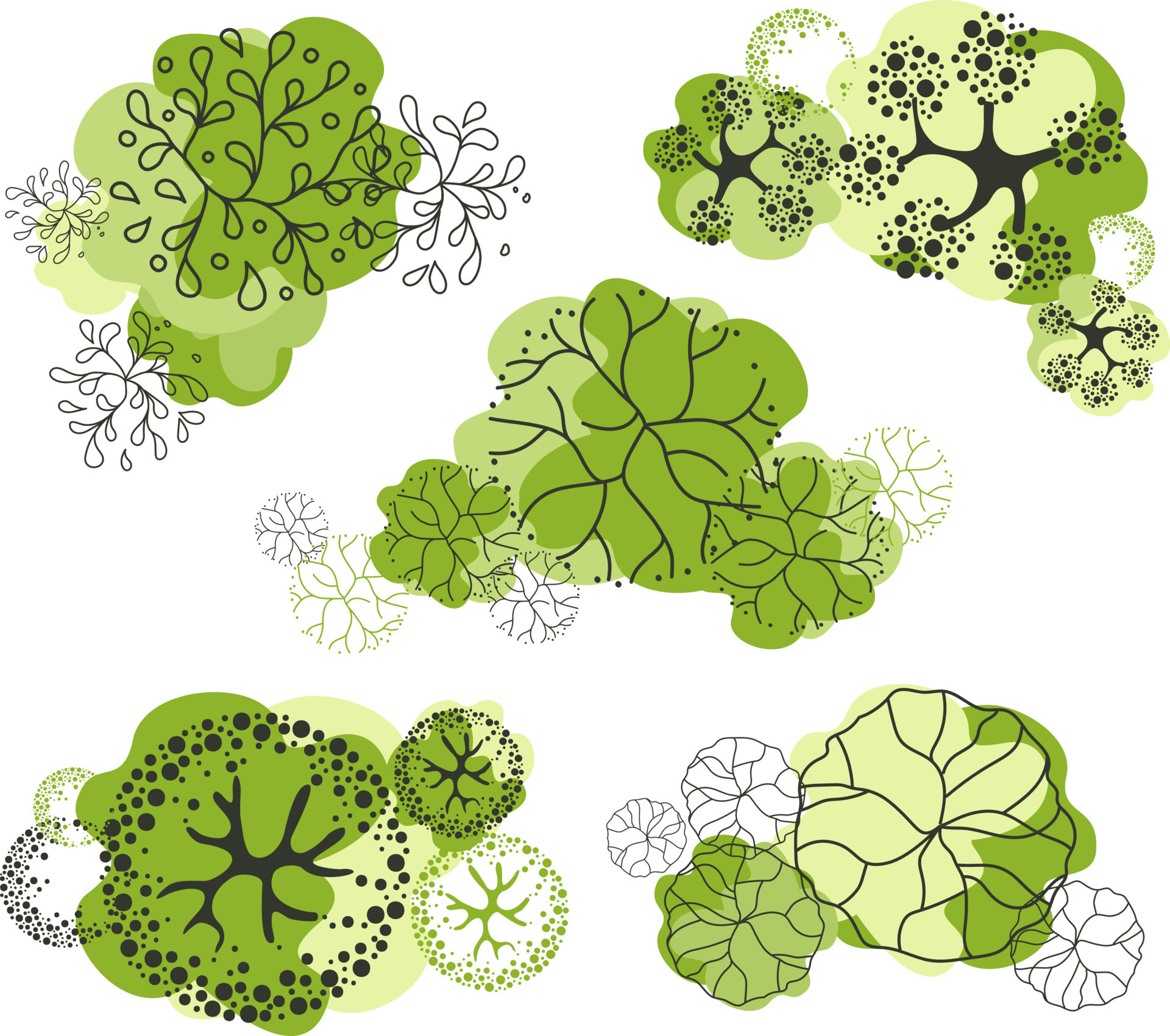 Tree for architectural floor plans. Entourage design. Various trees ...