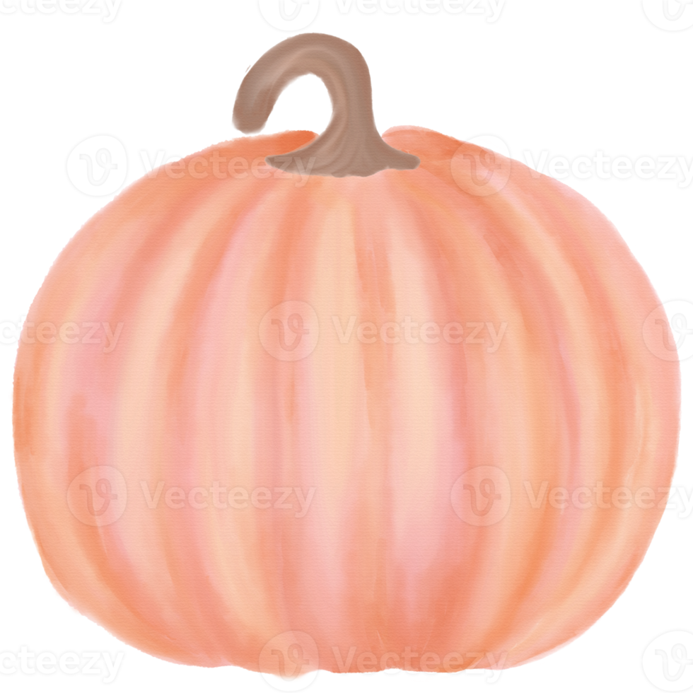 Pastel pumpkin watercolor 10260409 PNG