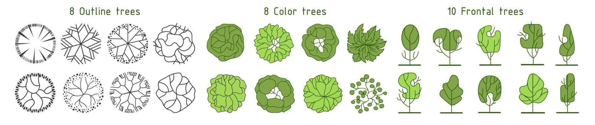 Tree for architectural floor plans. Entourage design. Various trees ...