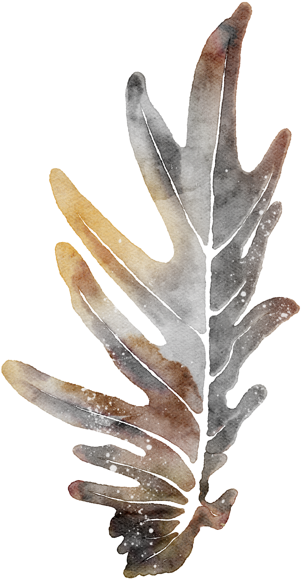 Leaf watercolor transparency. 10286031 PNG Leaf watercolor transparency. 10286031 PNG