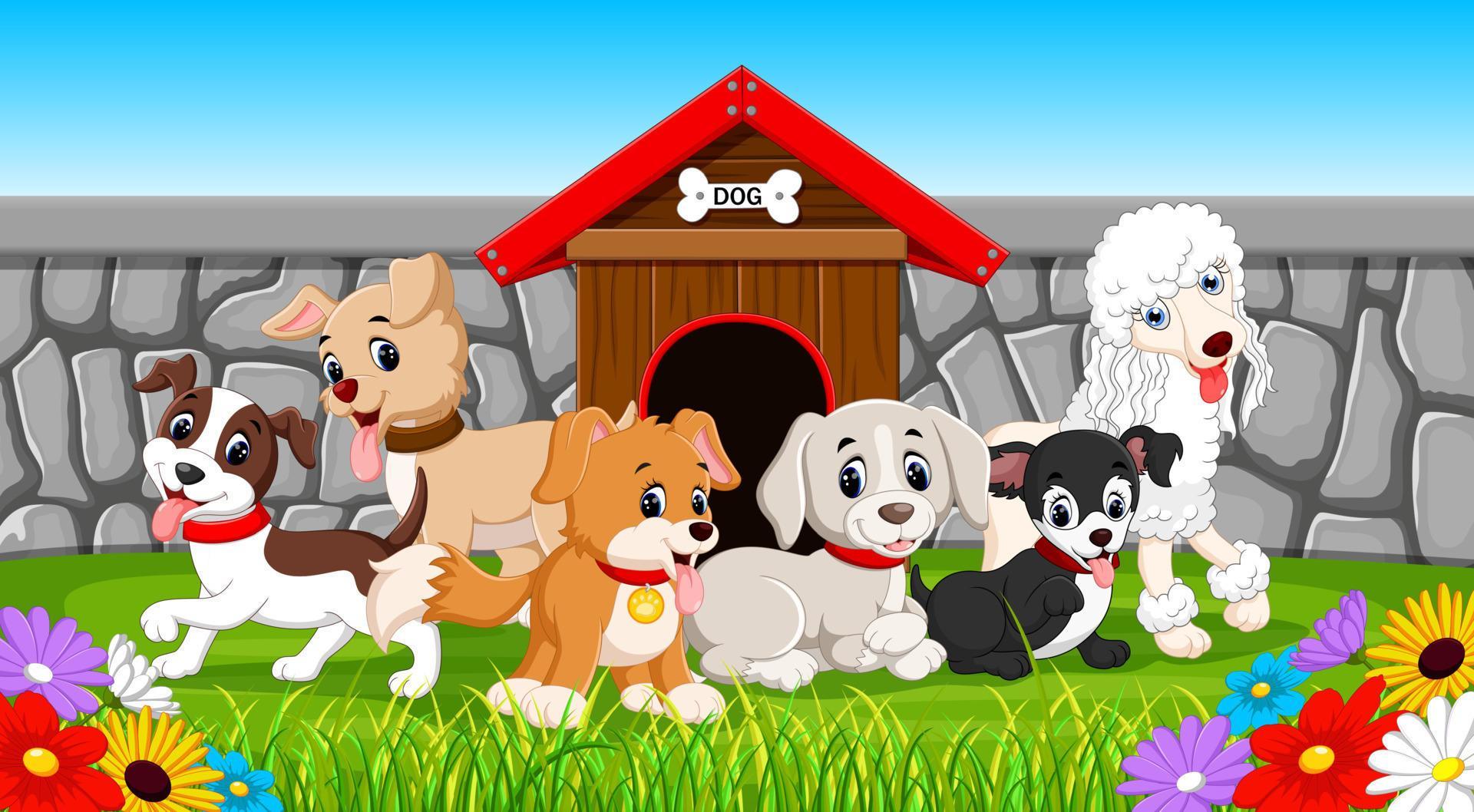 many pet dogs in the park 10287535 Vector Art at Vecteezy
