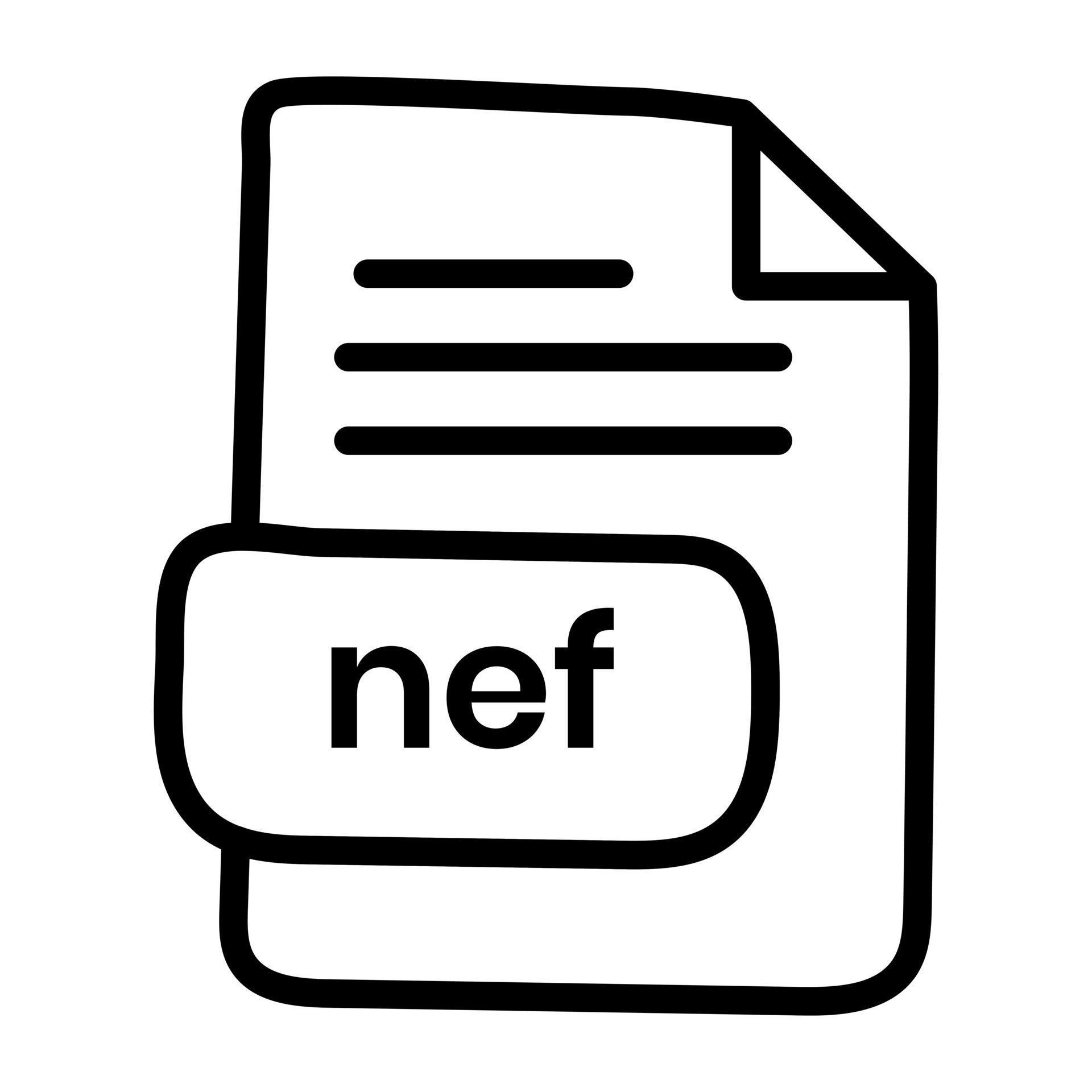 An icon design of nef file 10289552 Vector Art at Vecteezy