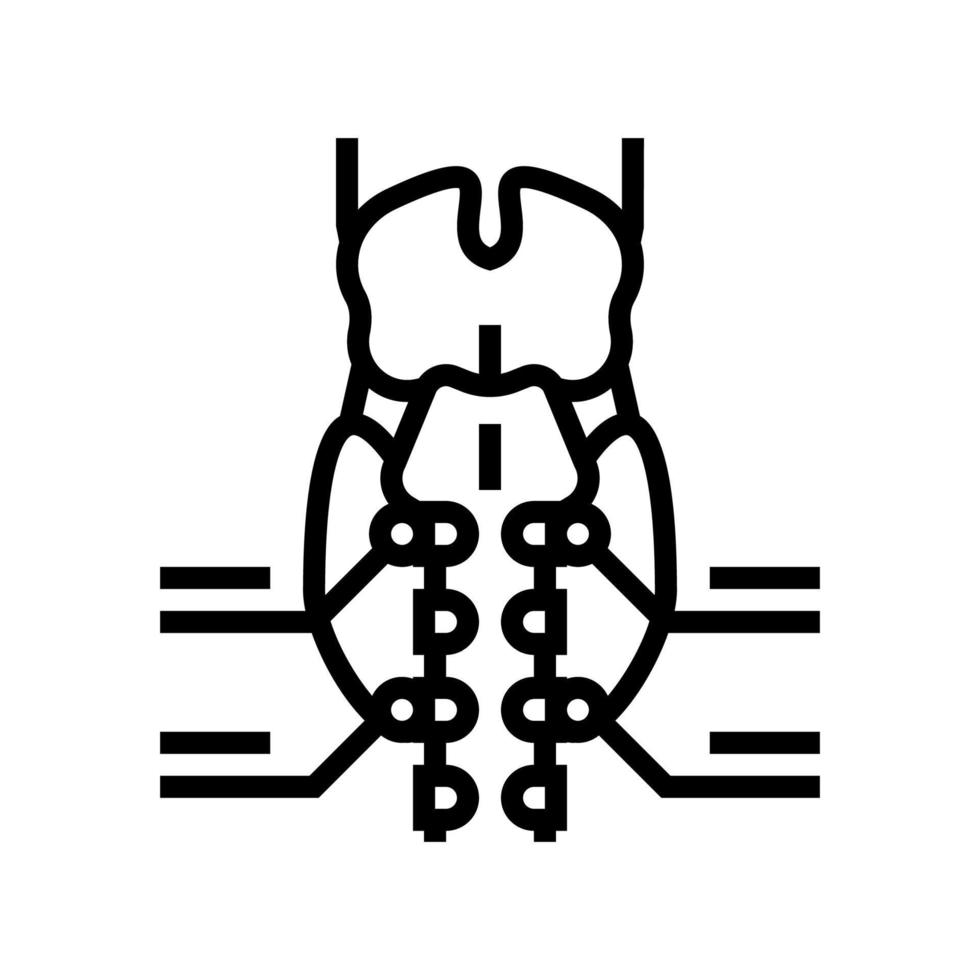 parathyroid gland endocrinology line icon vector illustration 10300013 ... parathyroid gland endocrinology line icon vector illustration 10300013 ...