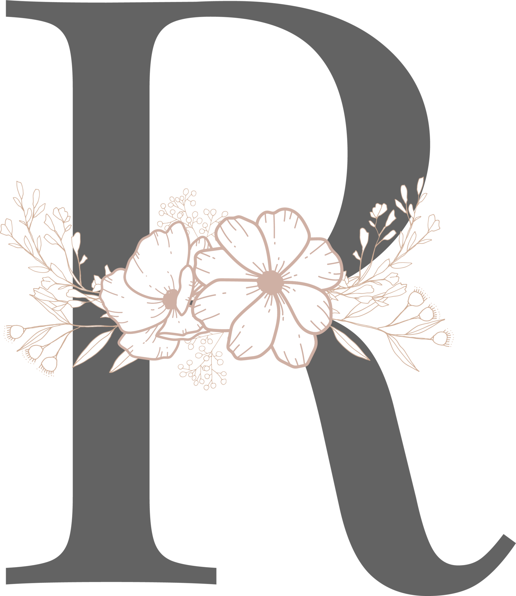 Alphabet with flower line art 10313258 PNG