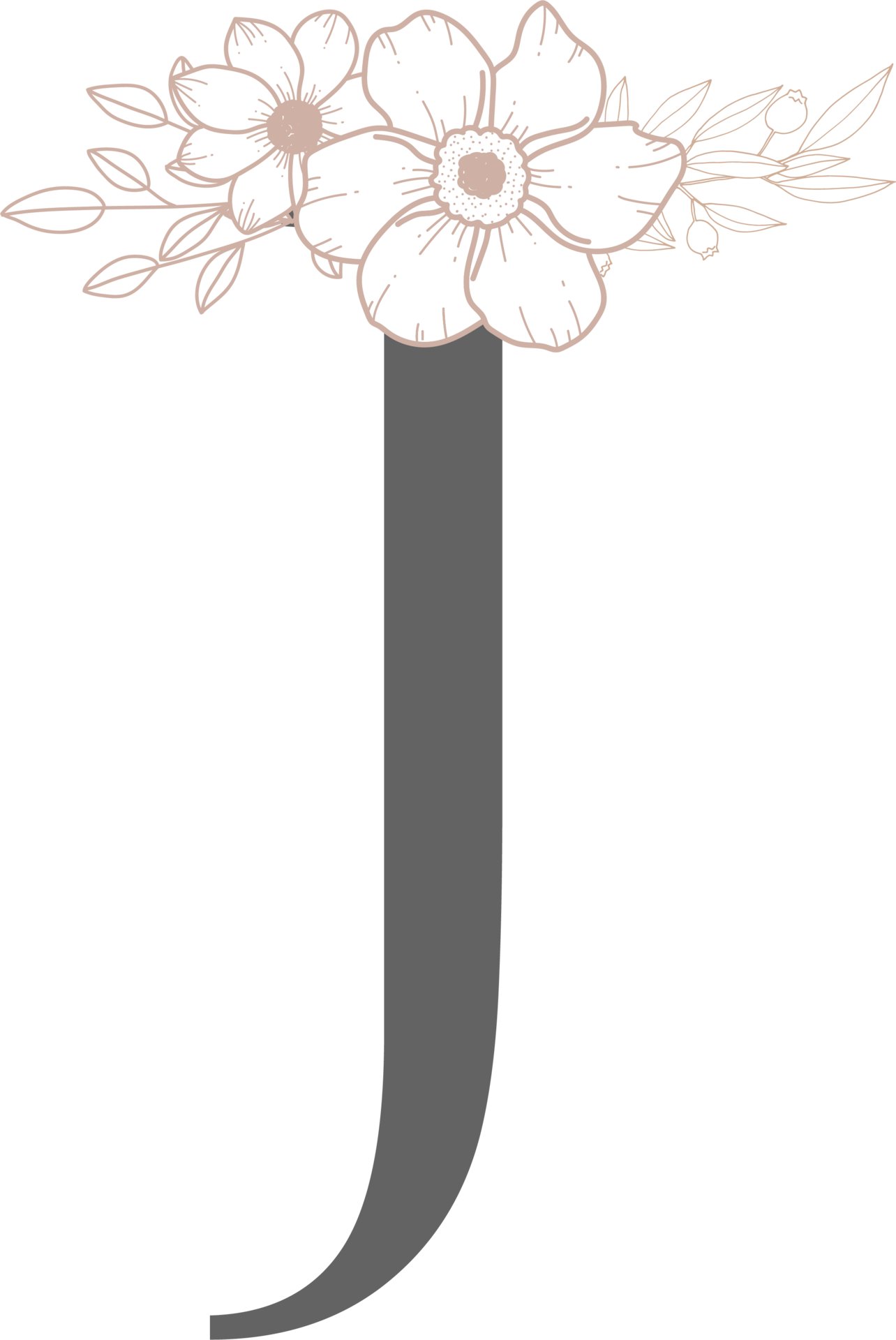 Alphabet with flower line art 10313483 PNG