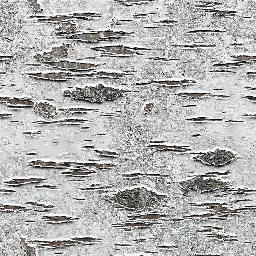 3D Realistic birch tree bark rendered texture background image 10325094 ... 3D Realistic birch tree bark rendered texture background image 10325094 ...