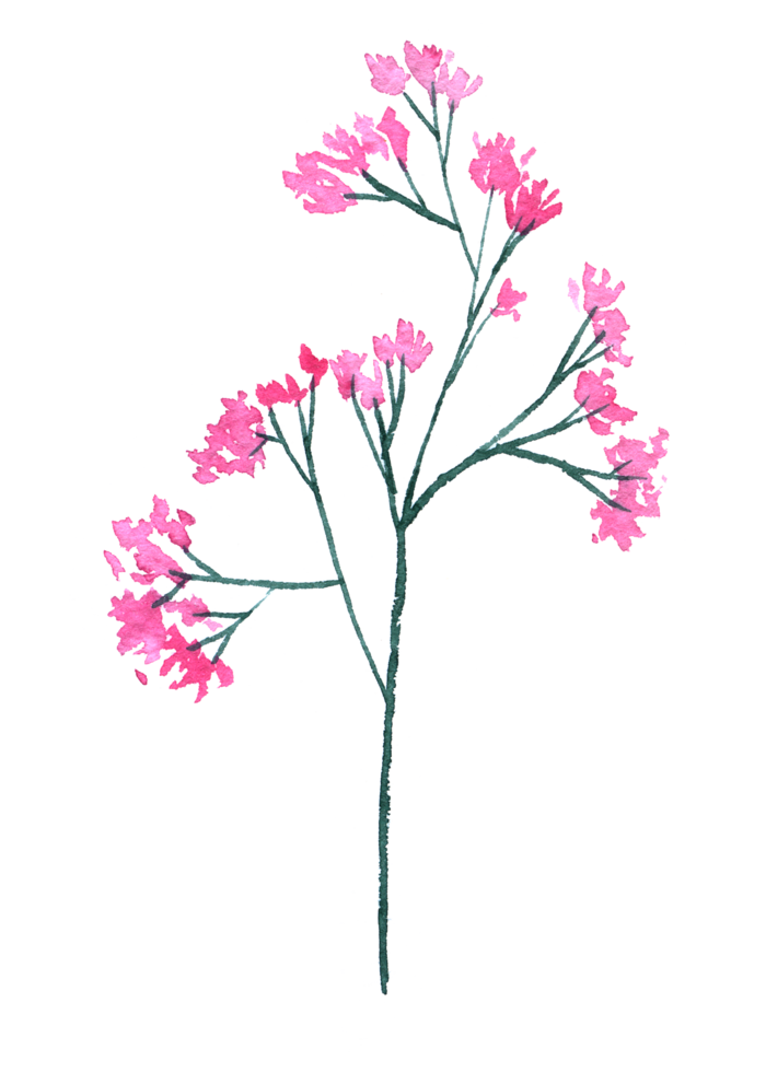 Wildflower Watercolor Beautiful Flower Watercolor Element 10335427 Png