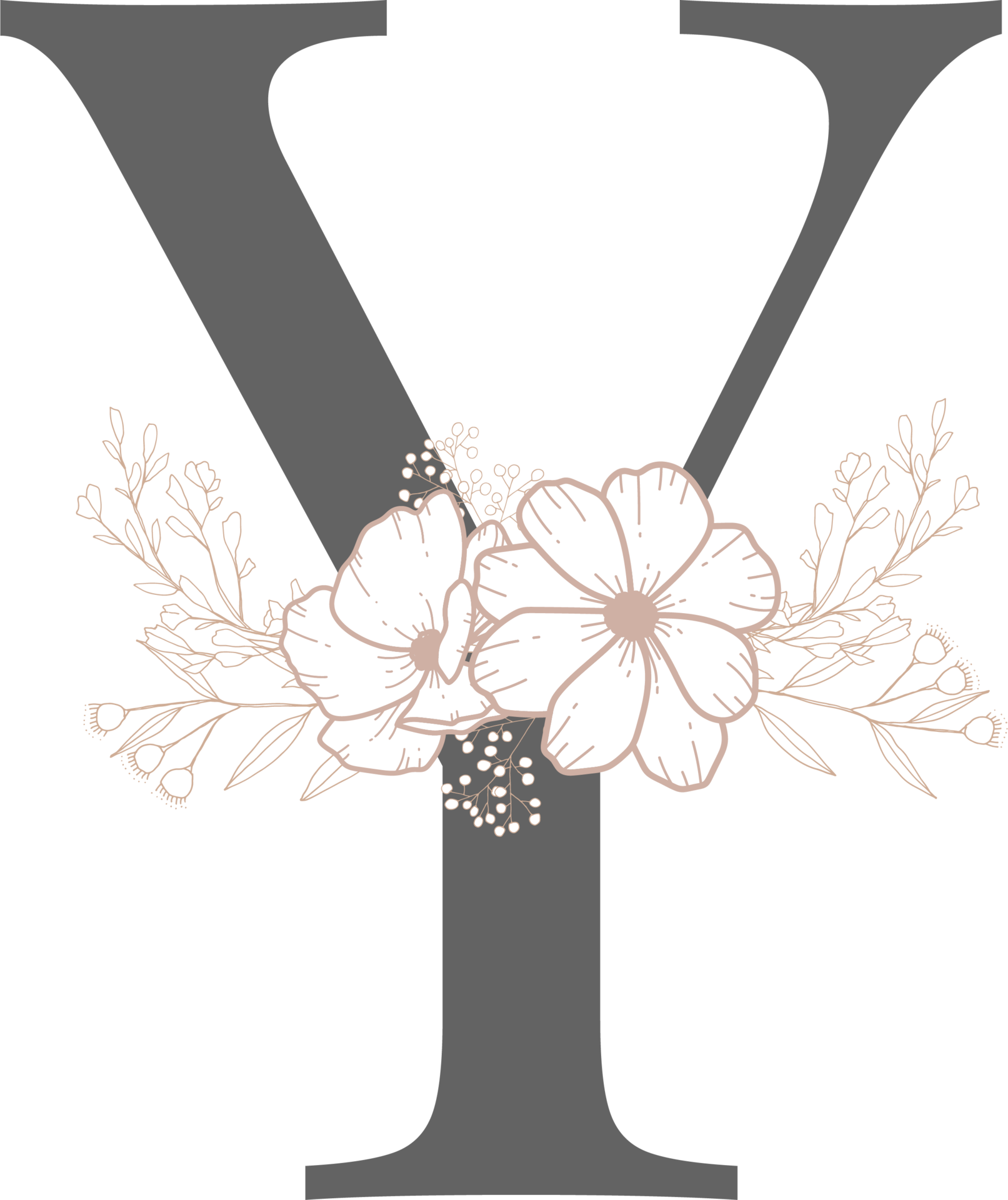 Alphabet with flower line art 10335646 PNG