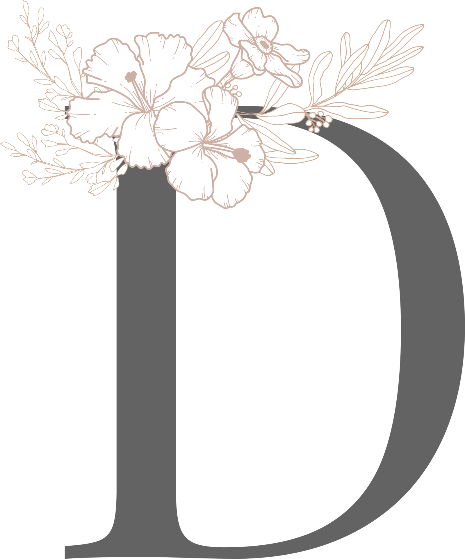 Alphabet with flower line art 10335650 PNG