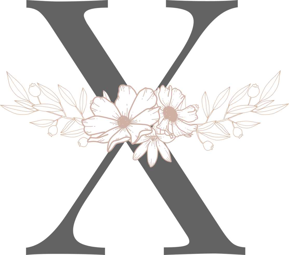 Alphabet with flower line art 10335917 PNG