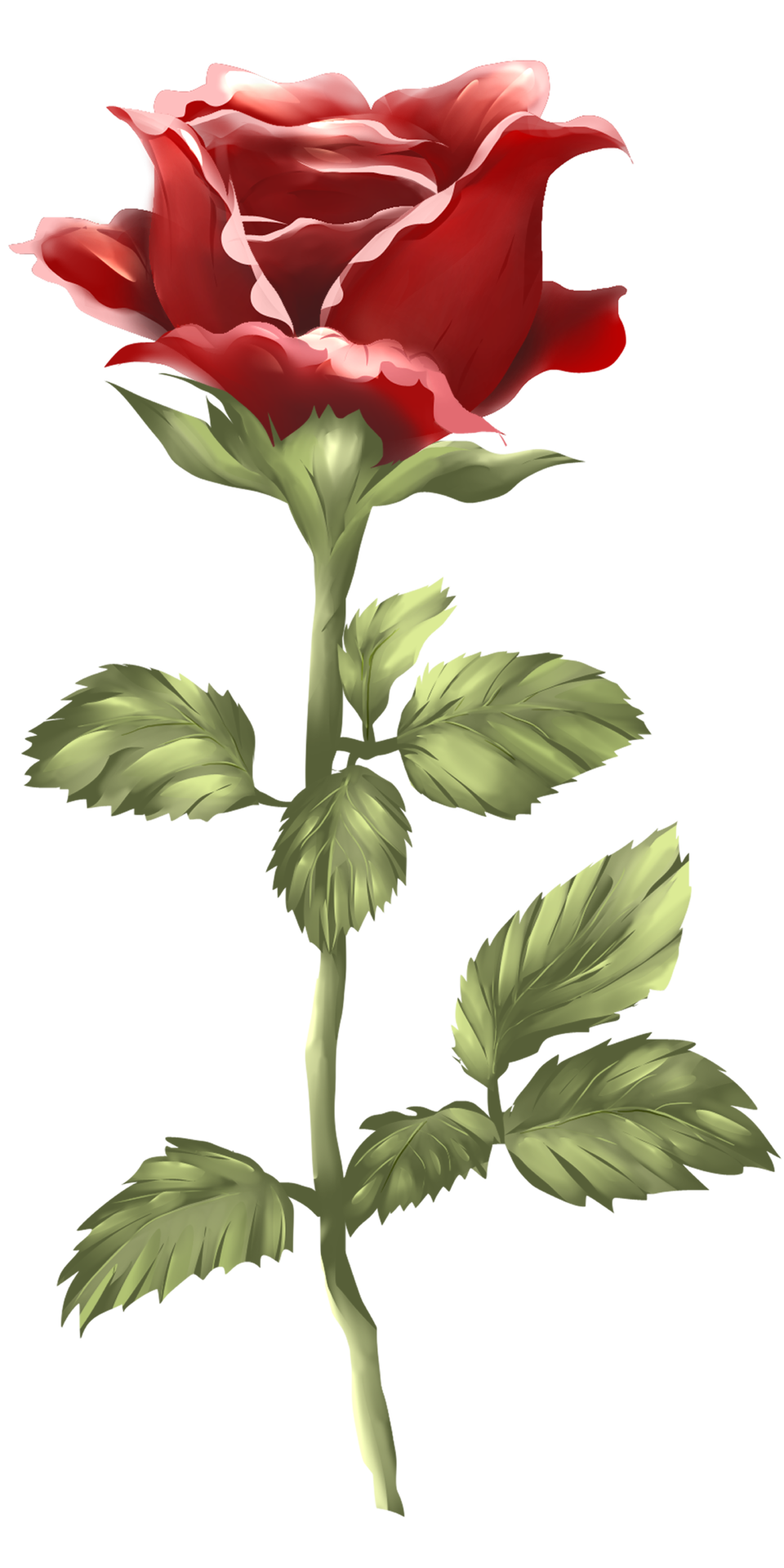 One Red Rose Watercolor Illustration 10337378 Png