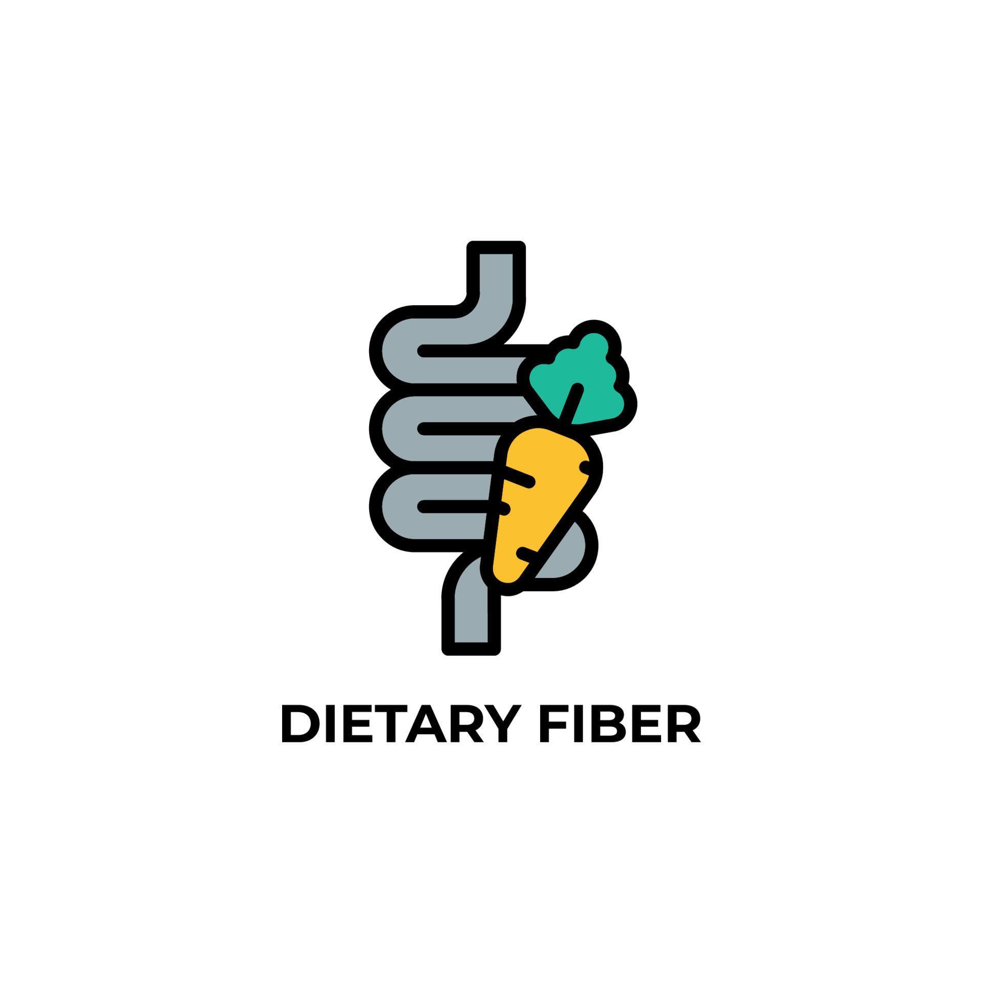 dietary fiber vector icon. Colorful flat design vector illustration ...