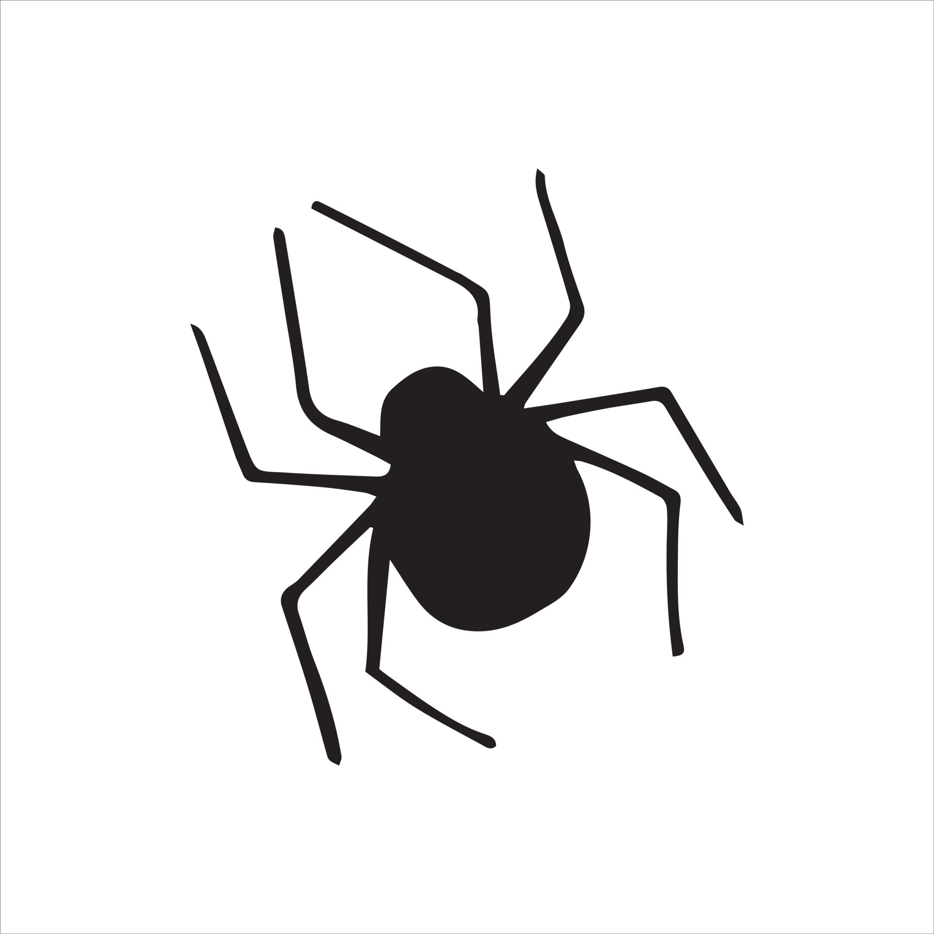 simple line drawing vector illustration. Spider. black and white ... simple line drawing vector illustration. Spider. black and white ...