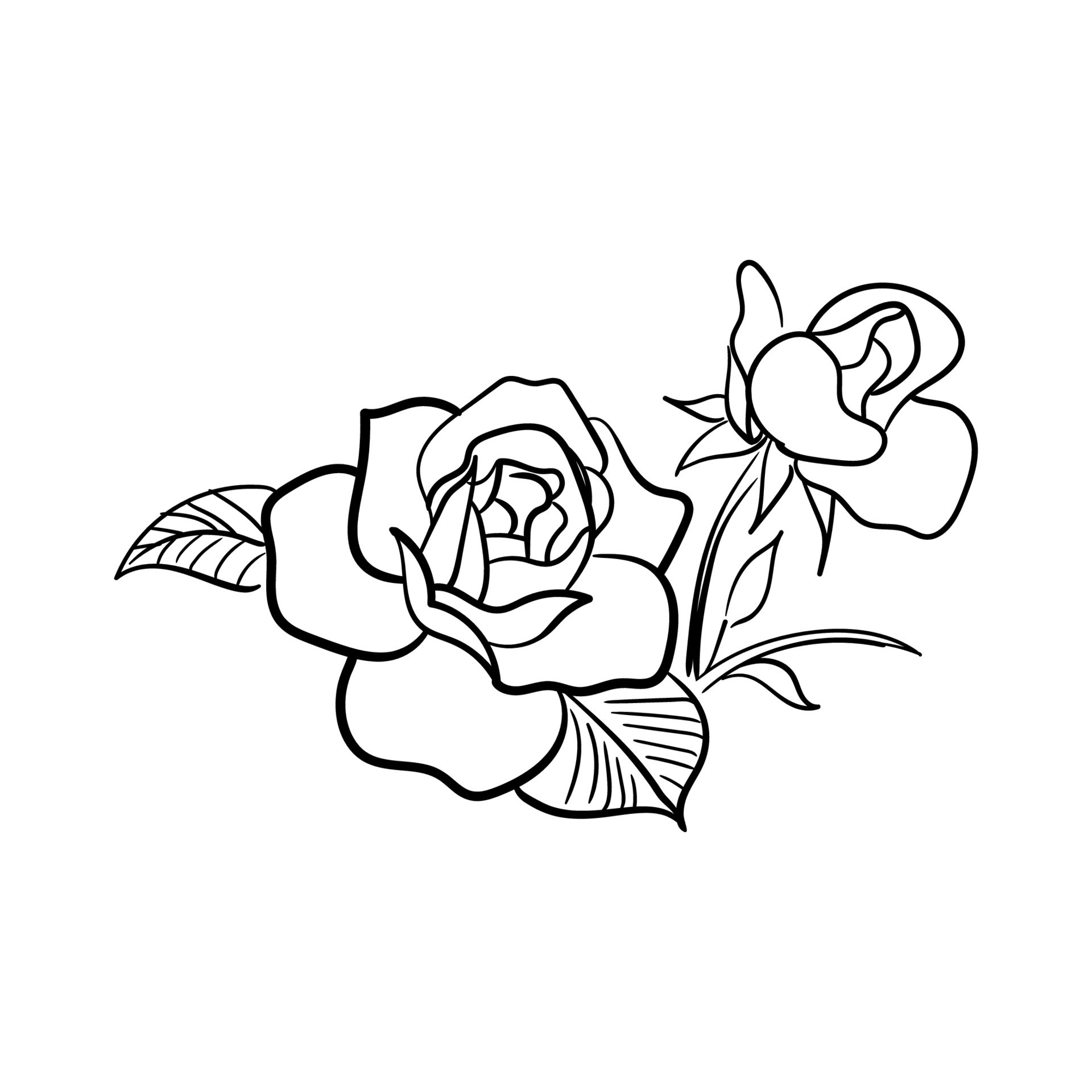 hand drawn line art rose flower vector illustration 10383870 Vector Art ... hand drawn line art rose flower vector illustration 10383870 Vector Art ...