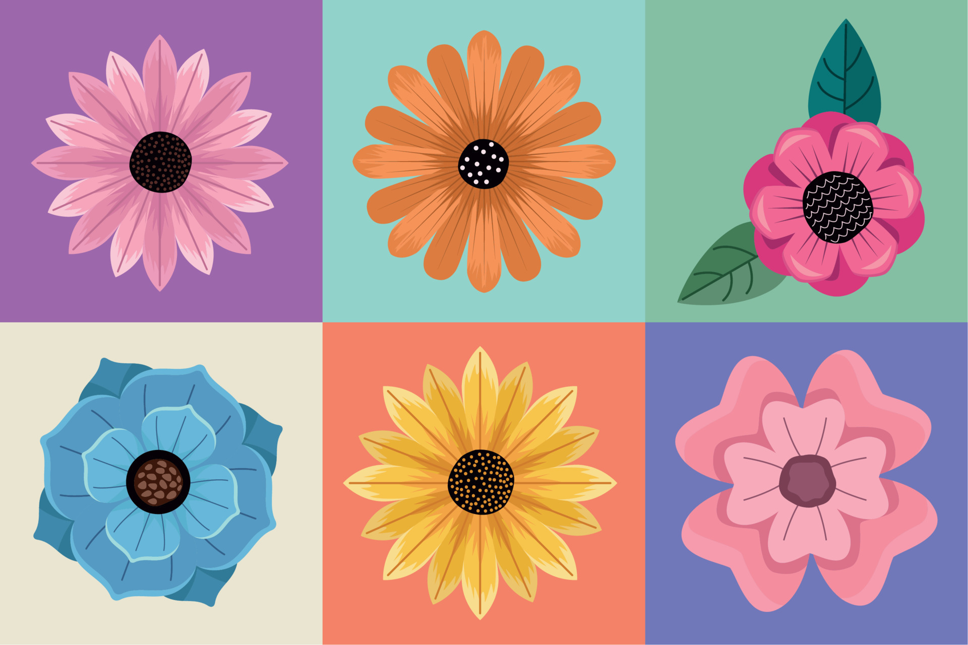 six spring season flowers 10384961 Vector Art at Vecteezy
