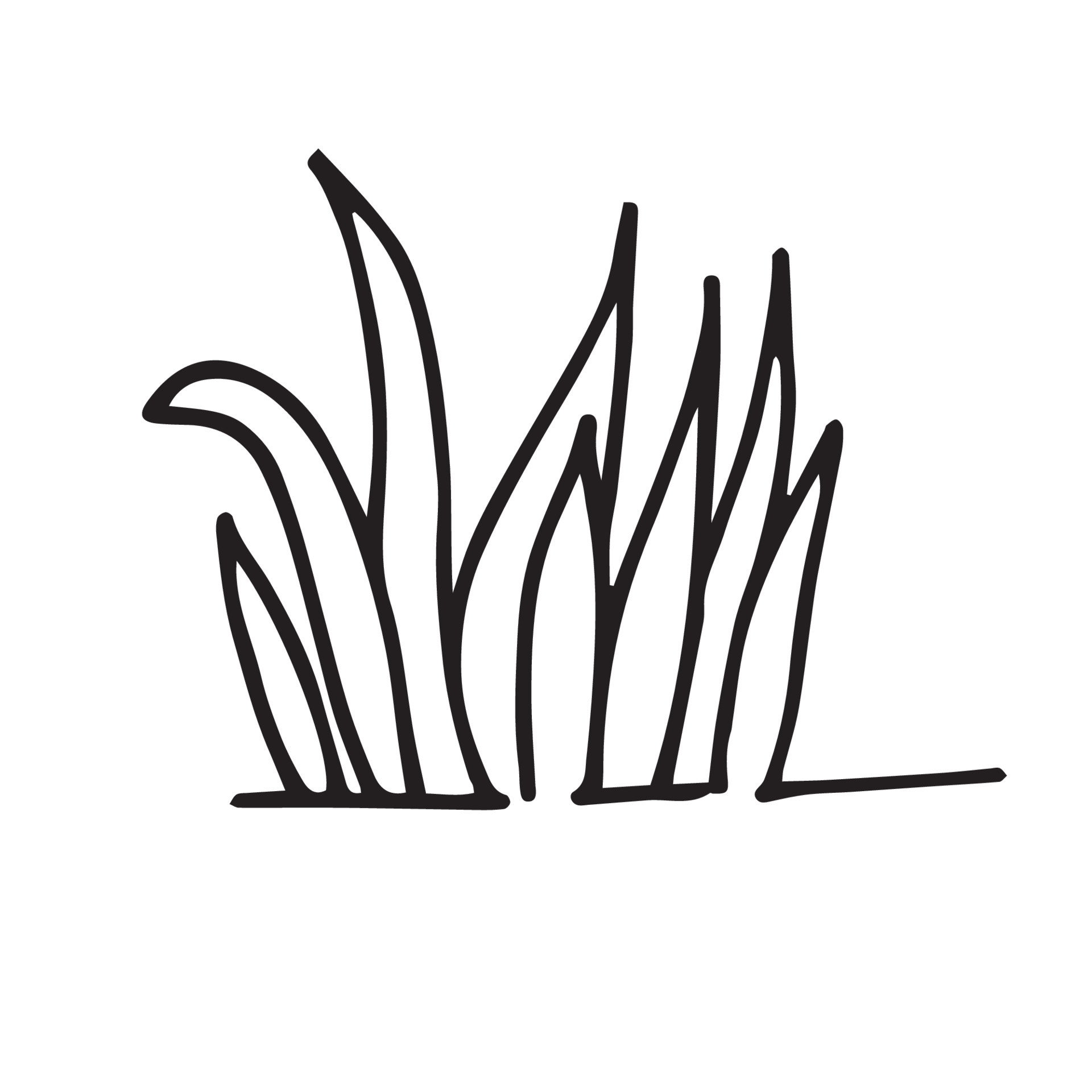 Dibujo De Pasto Para Colorear Insa