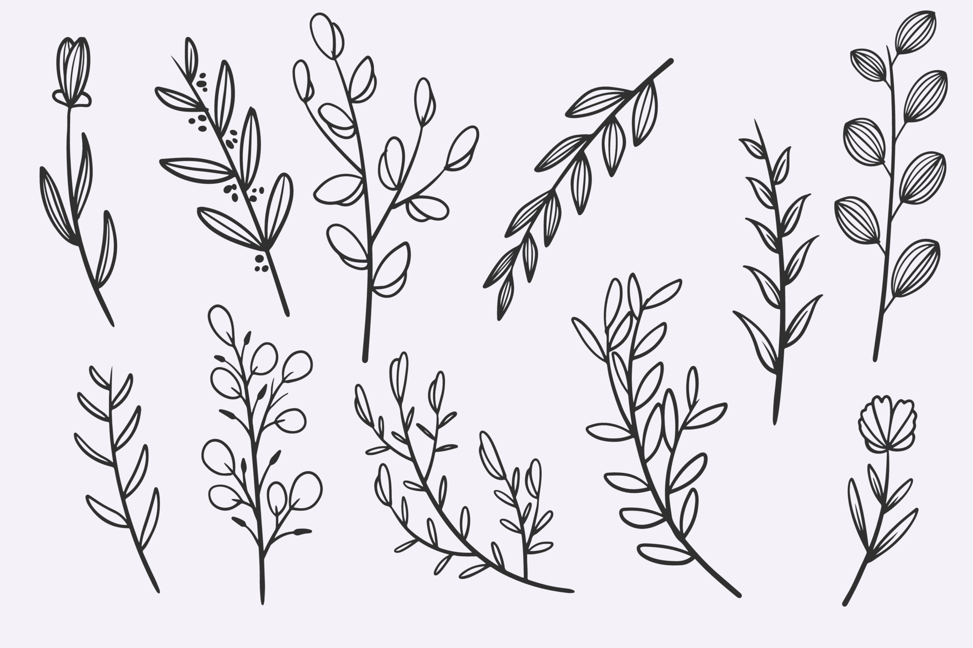 Flower Leaves Doodle Hand Drawn Vector Illustration Set 10425027 Vector Art At Vecteezy