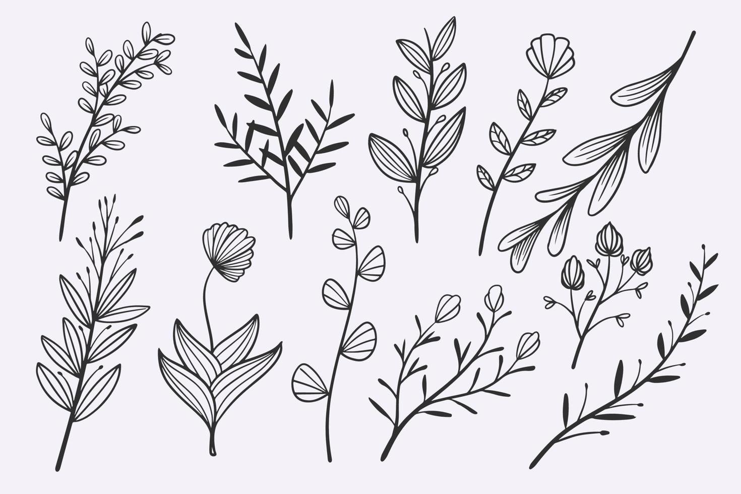 Flower Leaves Doodle Hand Drawn Vector Illustration Set 10425028 Vector