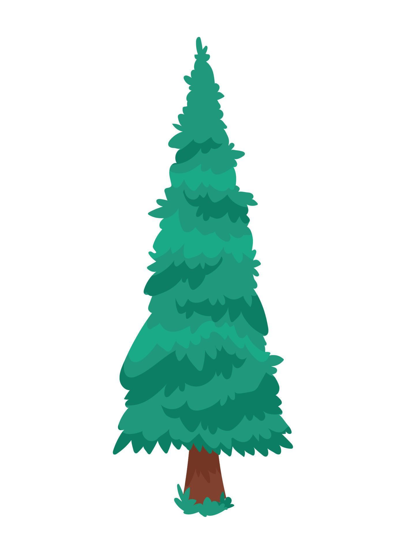 pine tree plant 10436191 Vector Art at Vecteezy