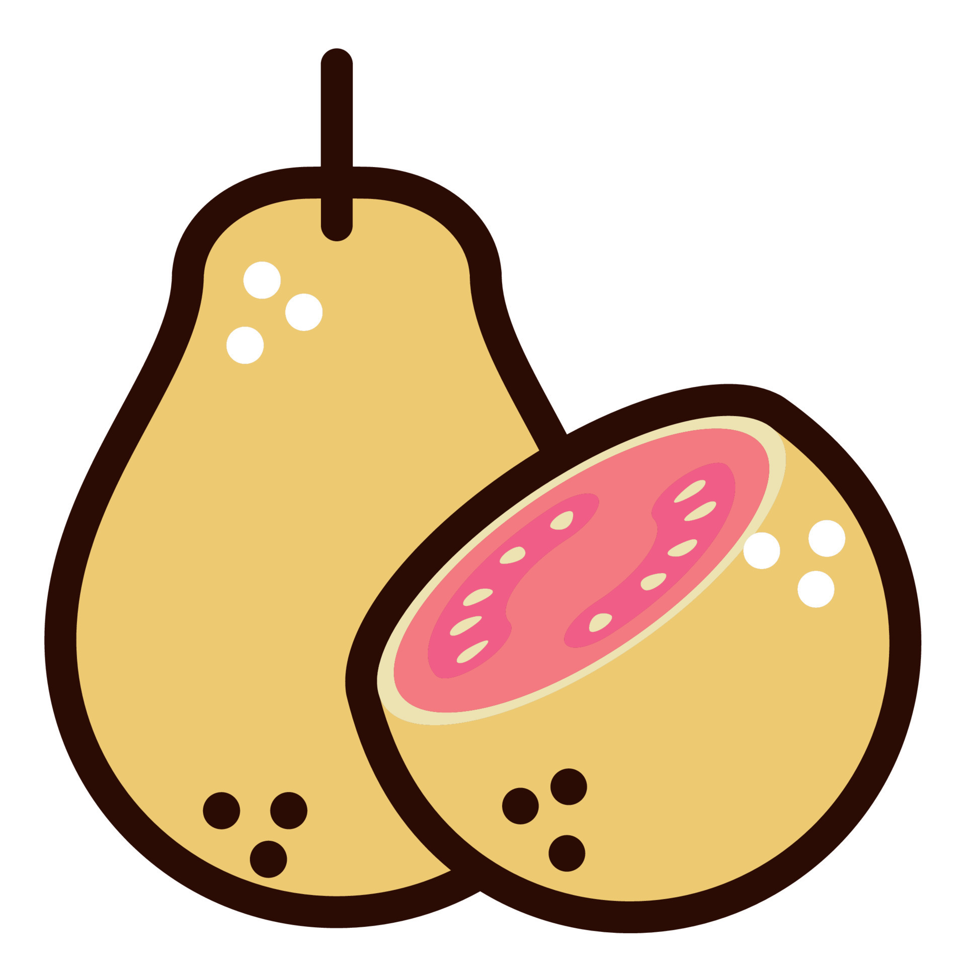 Fresh Guavas Fruits Doodle 10438219 Vector Art At Vecteezy fresh-guavas-fruits-doodle-10438219-vector-art-at-vecteezy