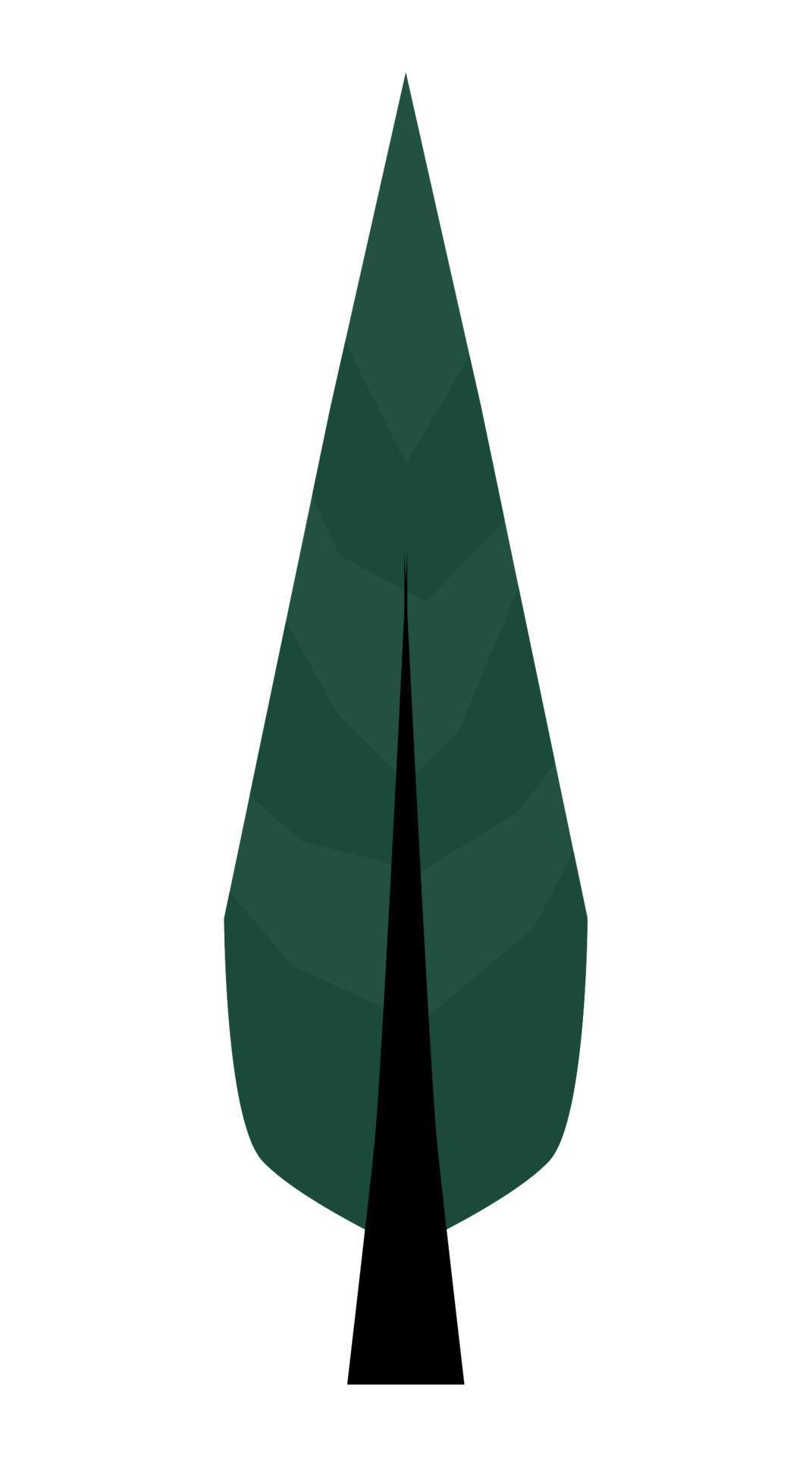 pine tree forest plant 10463832 Vector Art at Vecteezy