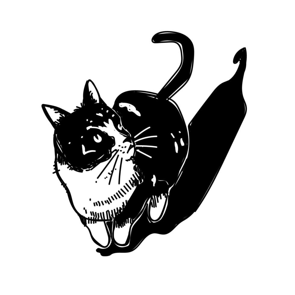 Cute Cat Character Hand Drawn Vector Illustration 10513552 Vector Art At Vecteezy