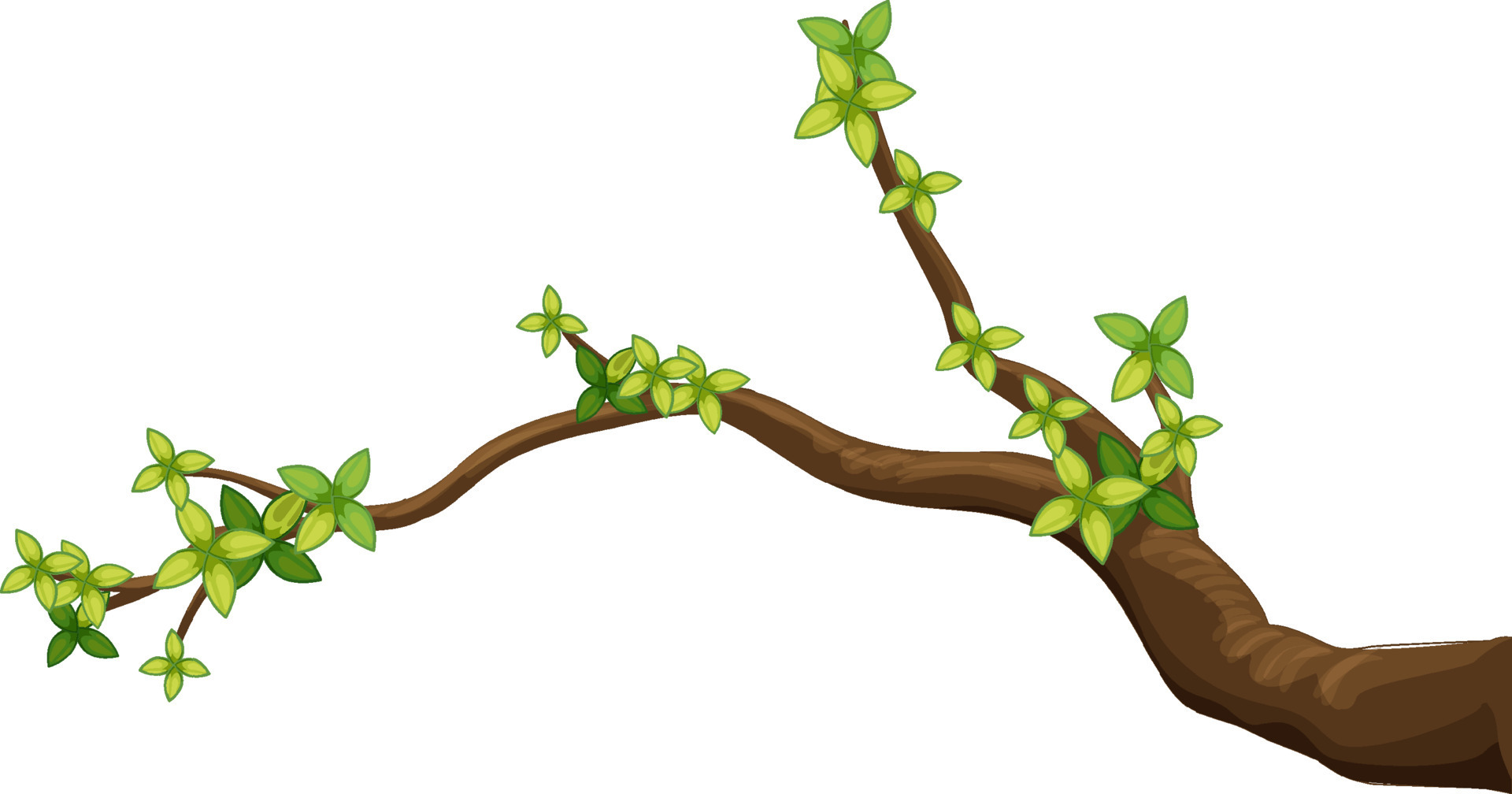 Tree branch isolated on white background 10516653 Vector Art at Vecteezy Tree branch isolated on white background 10516653 Vector Art at Vecteezy