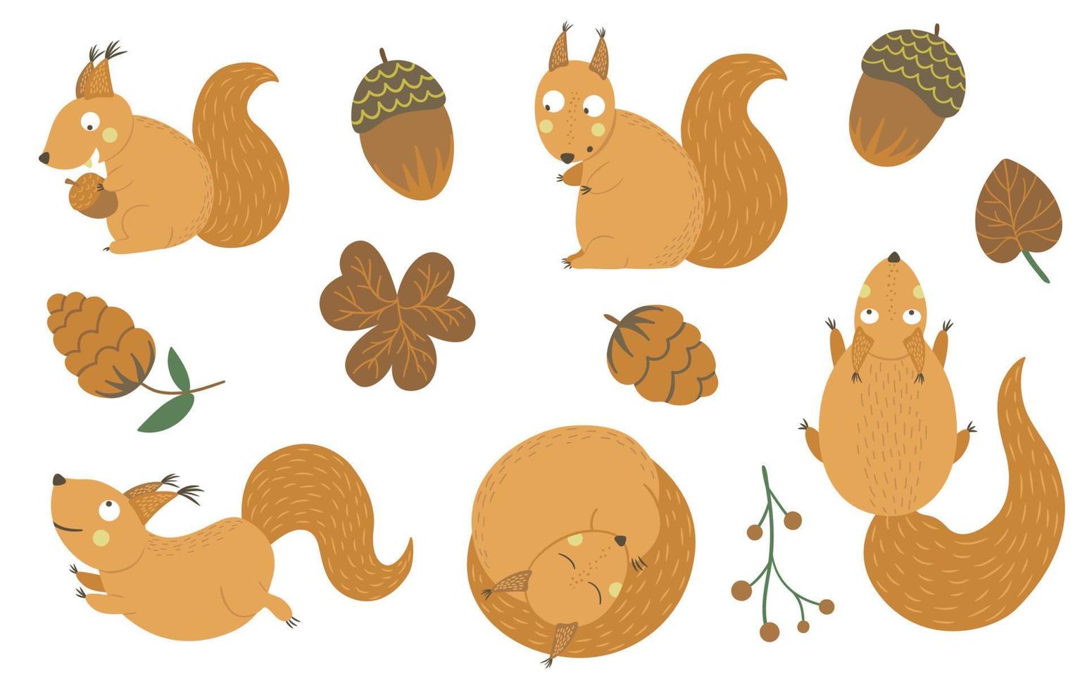 Squirrel With Acorn Clip Art 254 Squirrel Acorn High Res Illustrations