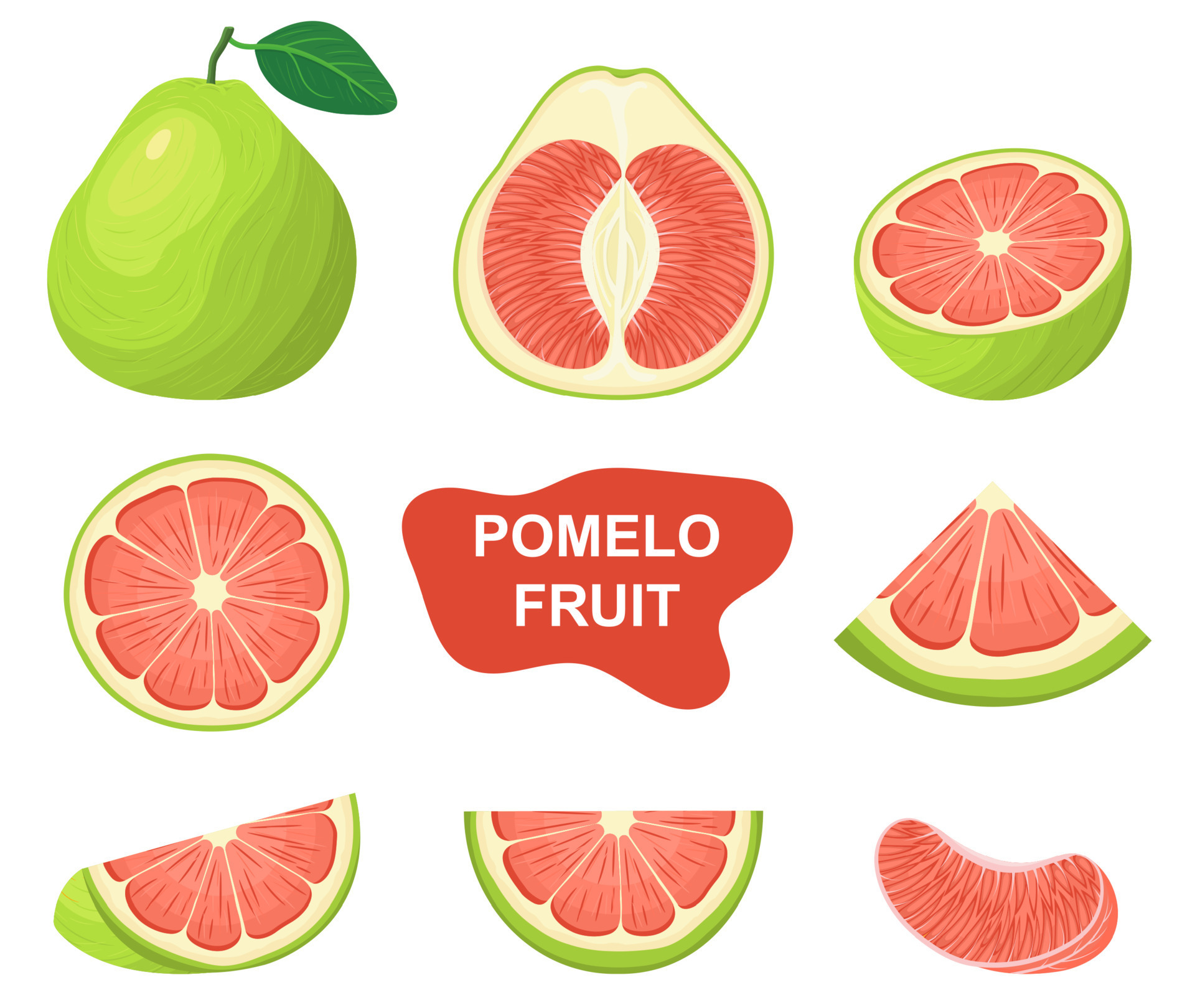 Set of fresh whole, half, cut slice red pomelo fruits isolated on white background. Summer ...